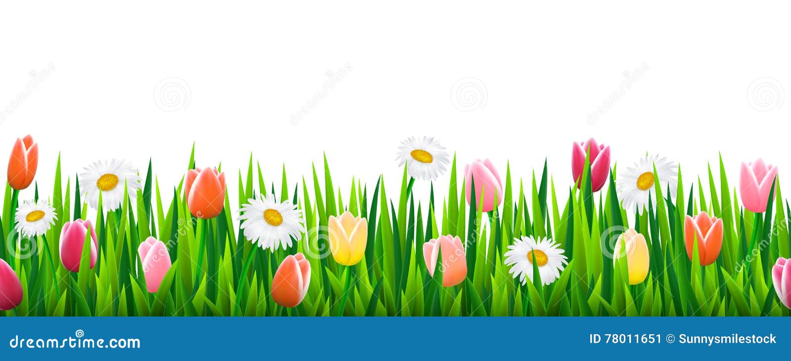 Grass Flower Vector