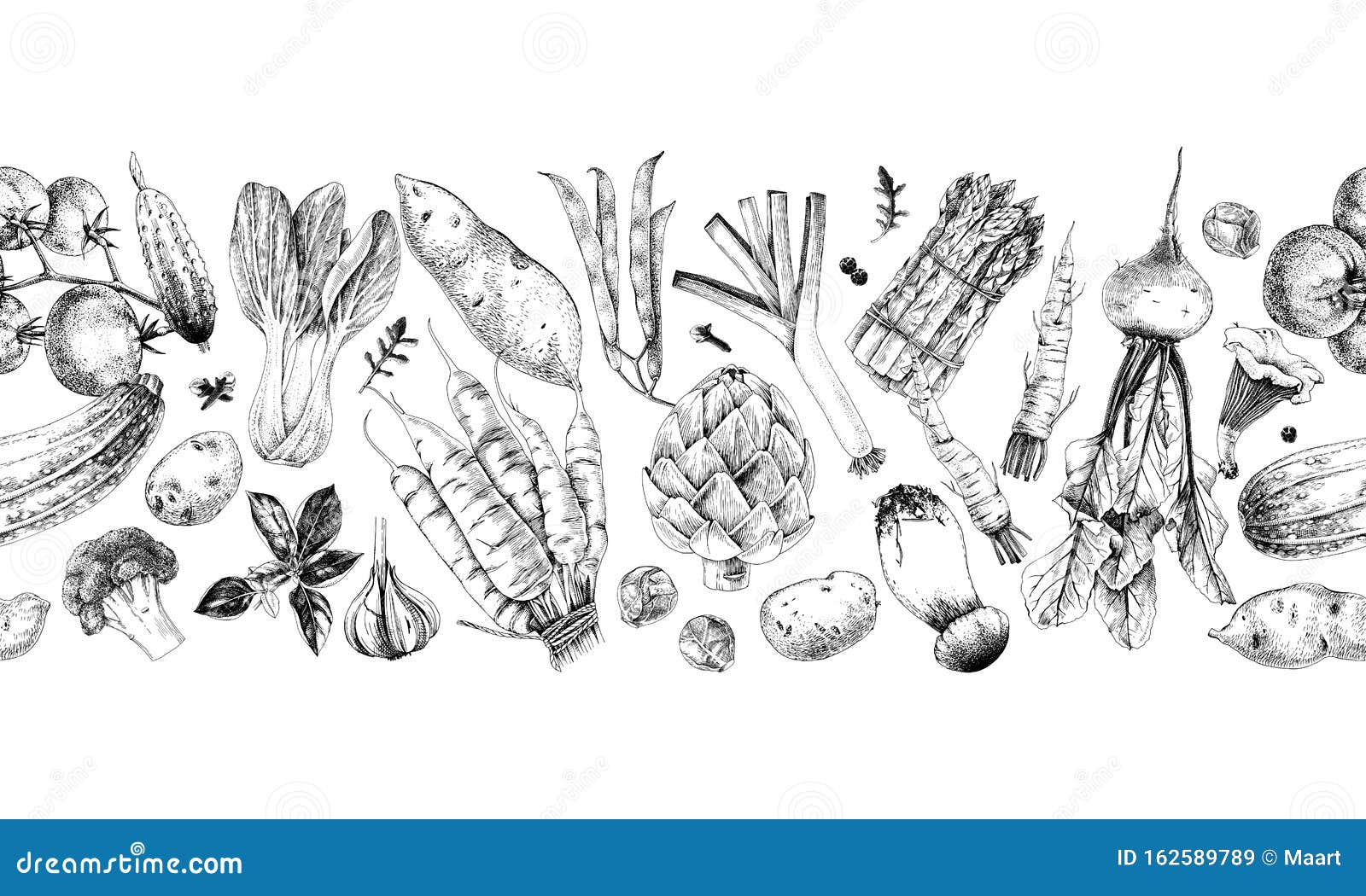 Seamless Border with Hand Drawn Vegetables Stock Vector - Illustration ...