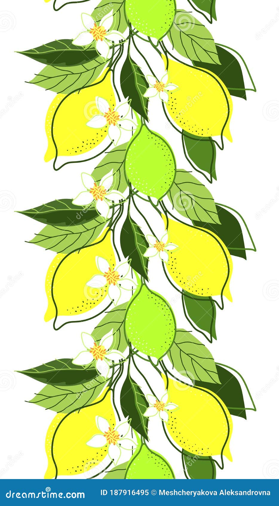 SEAMLESS BORDER of LEMON BRANCHES on a WHITE BACKGROUND Stock Vector ...