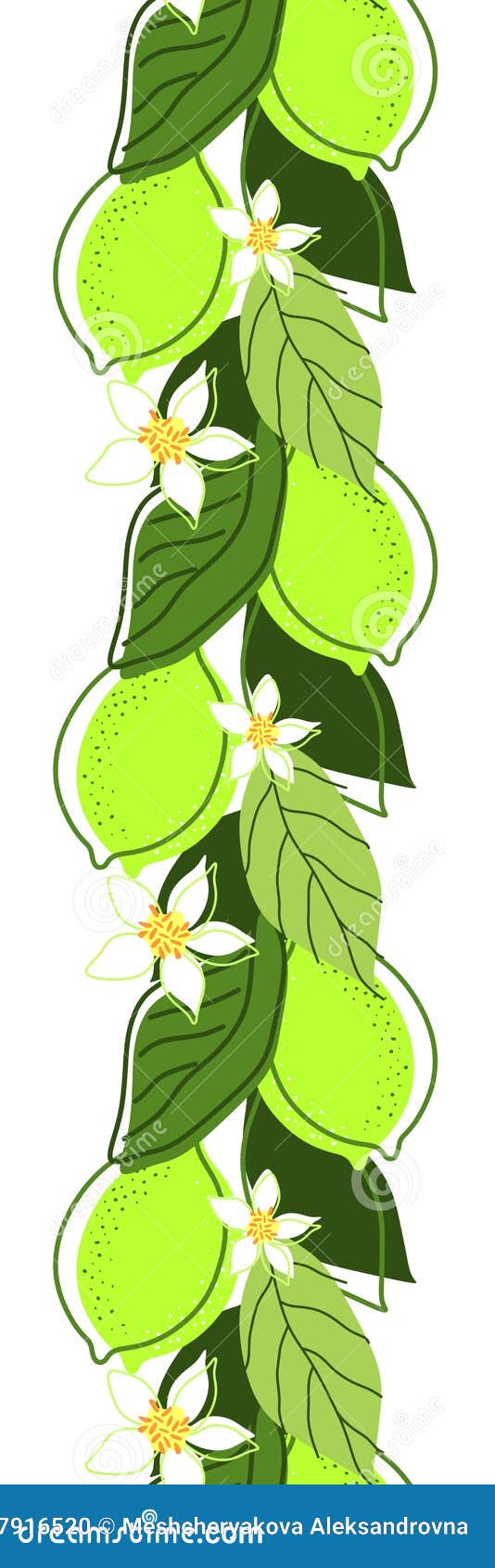 SEAMLESS BORDER of LIME BRANCHES on a WHITE BACKGROUND Stock Vector ...