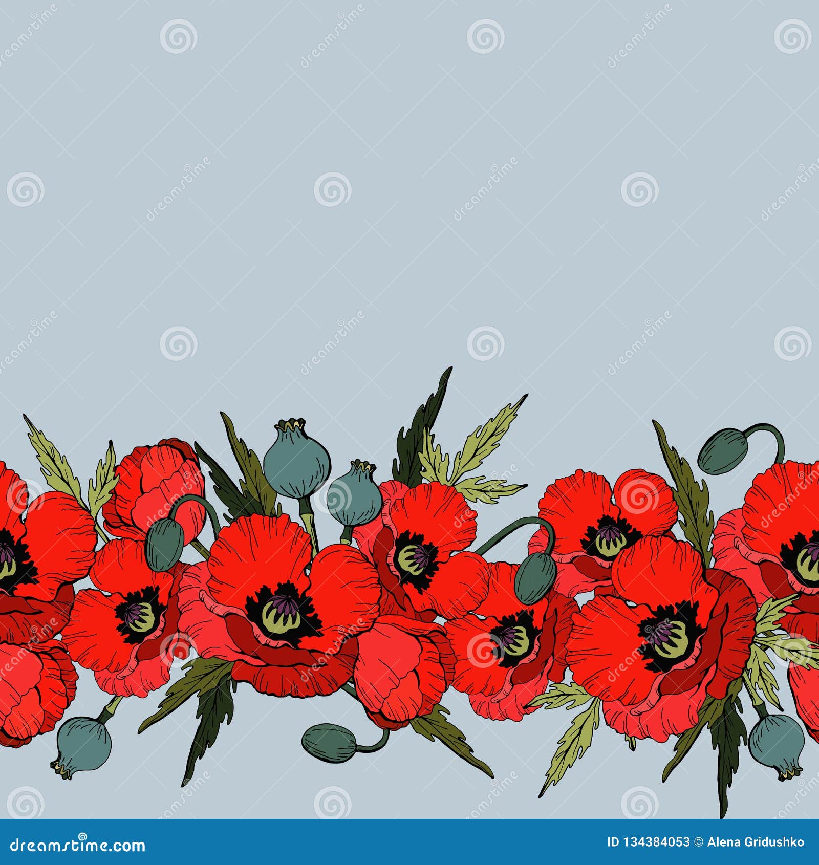 Seamless Border with Poppy , Vector Stock Vector - Illustration of blue ...