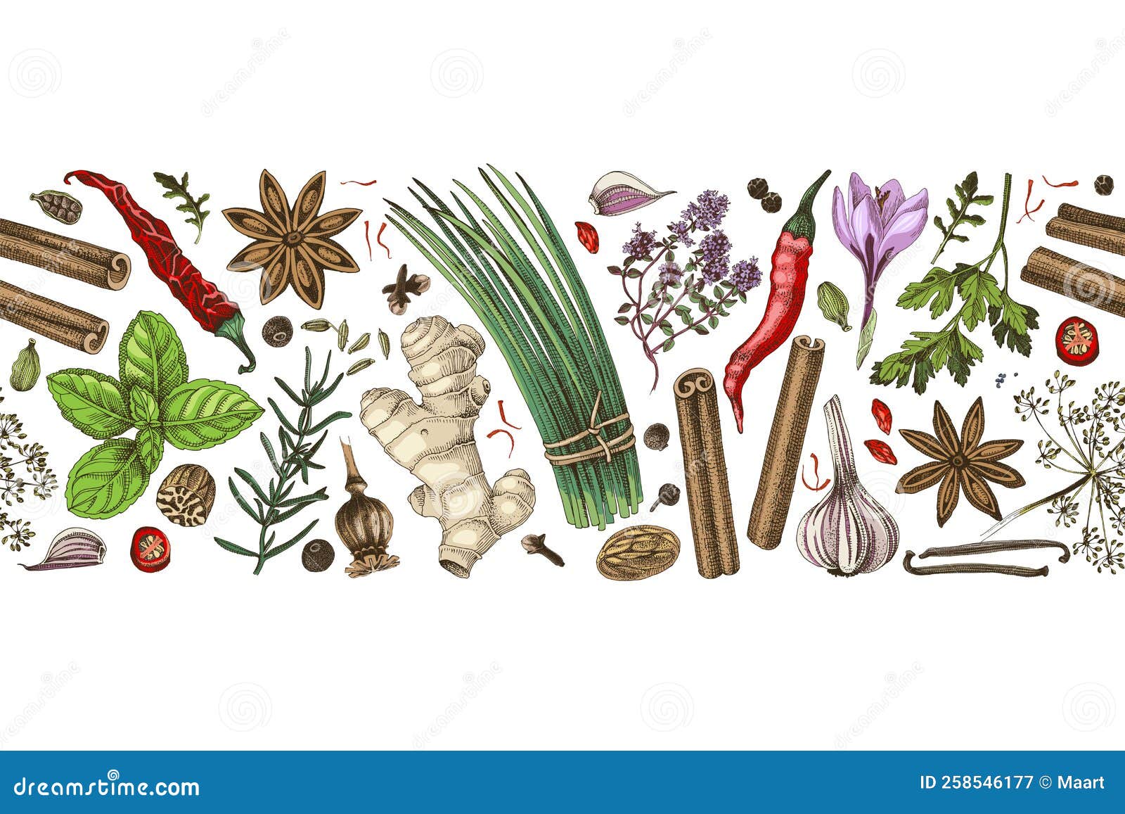 Seamless Border with Spices on White Background Stock Vector ...