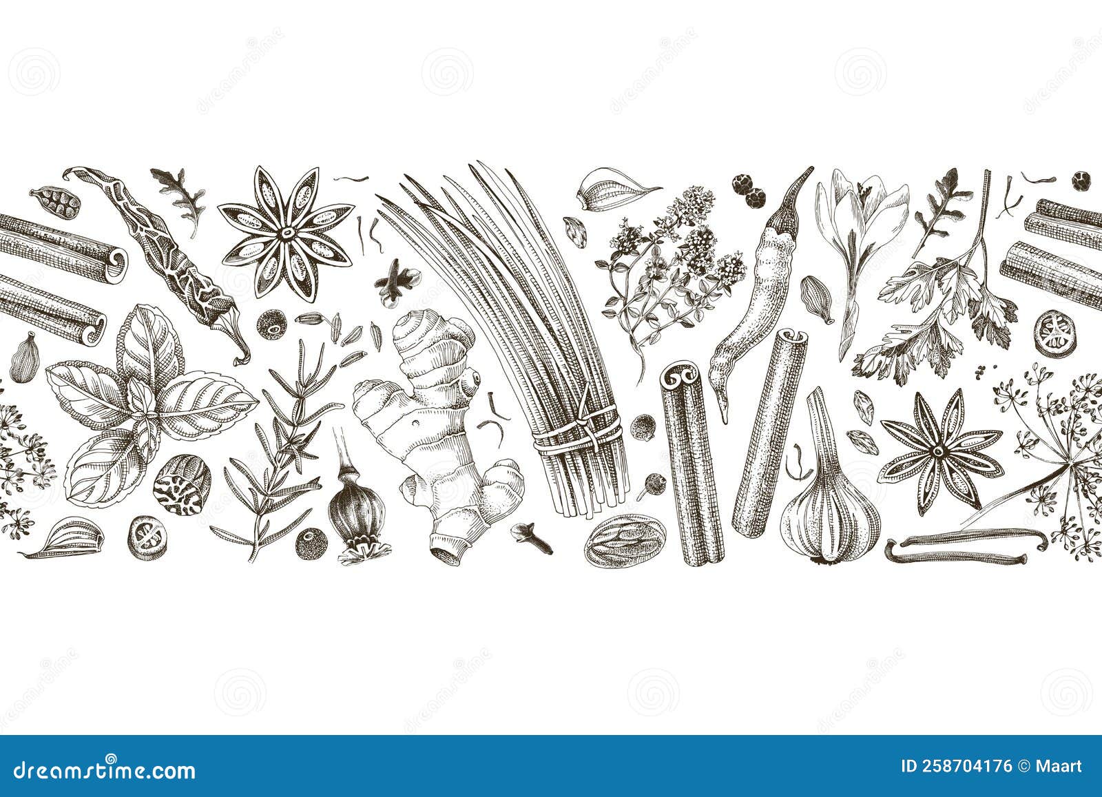 Seamless Border with Spices on White Background Stock Vector ...