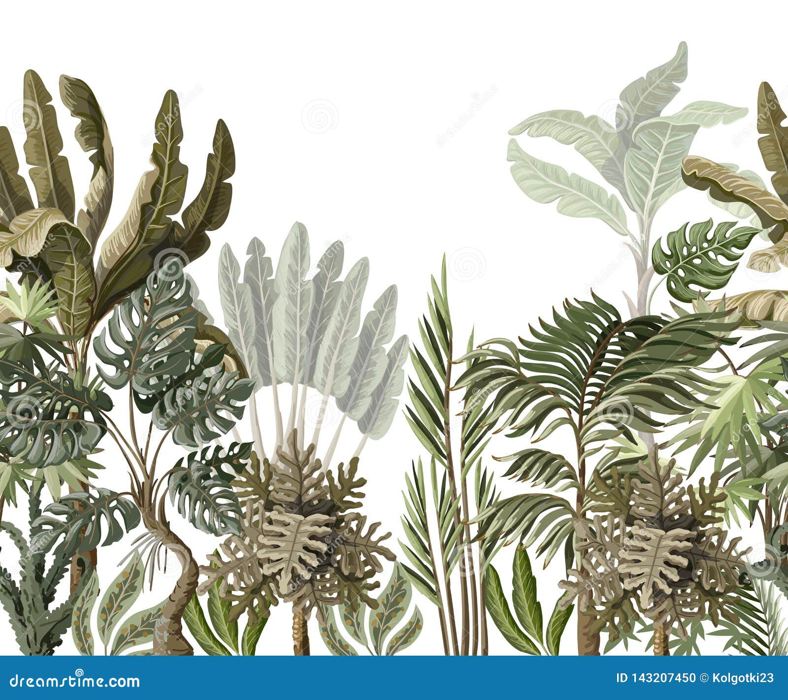 Seamless Border with Tropical Tree Such As Palm, Banana, Monstera ...