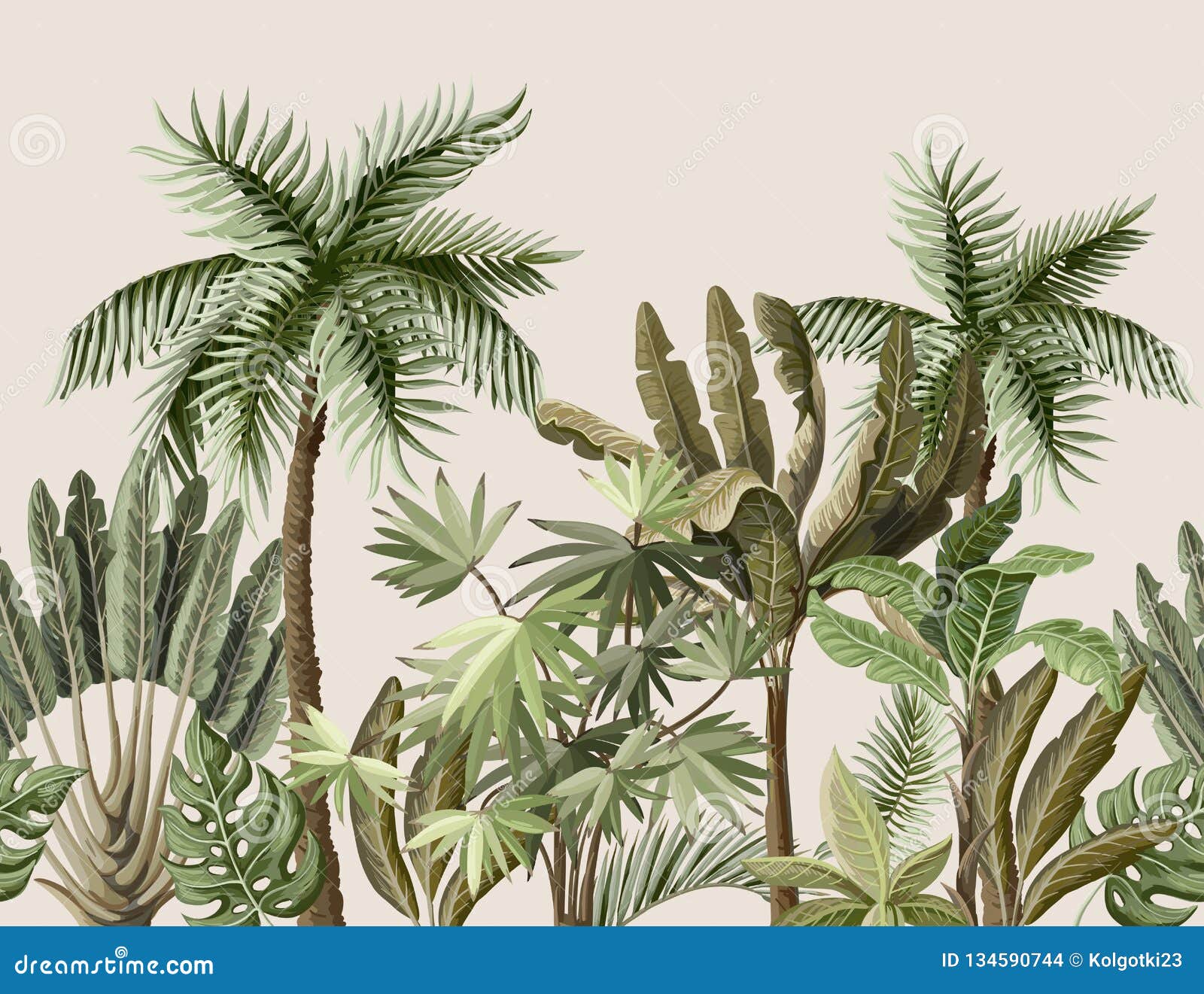Seamless Border with Tropical Tree Such As Palm, Banana. Vector. Stock ... Seamless Border with Tropical Tree Such As Palm, Banana. Vector. Stock ...