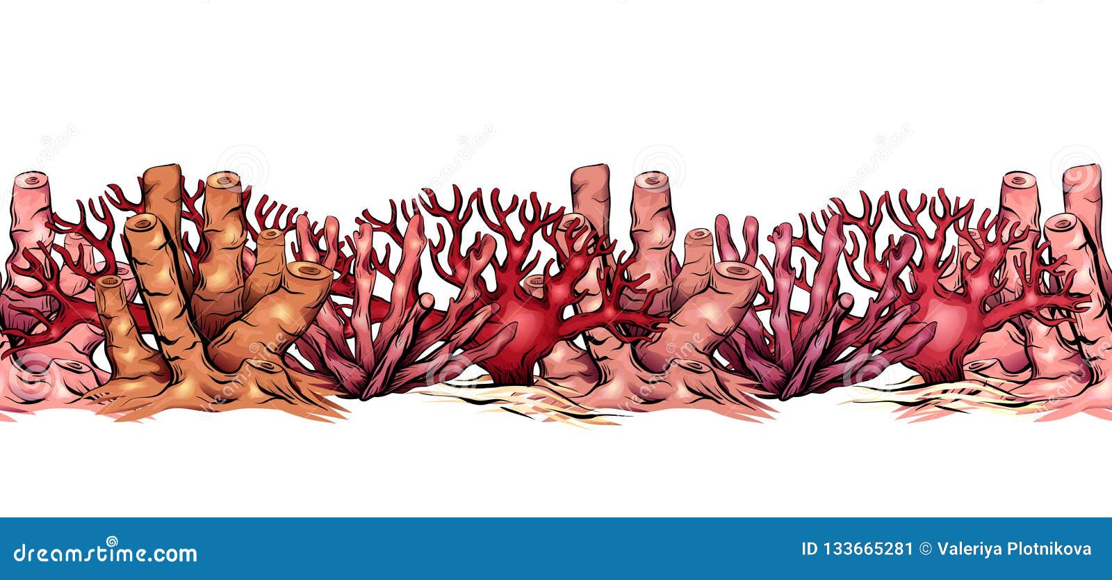 Seamless Border of Various Colorful Cartoon Corals. the Object is ...