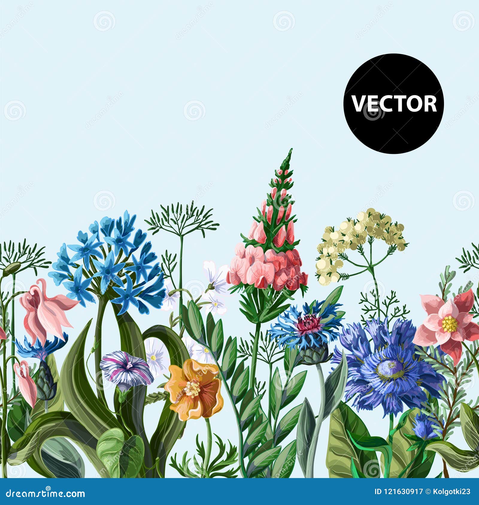 Wild Flowers And Herbaceous Flowering Plants Vector Collection ...