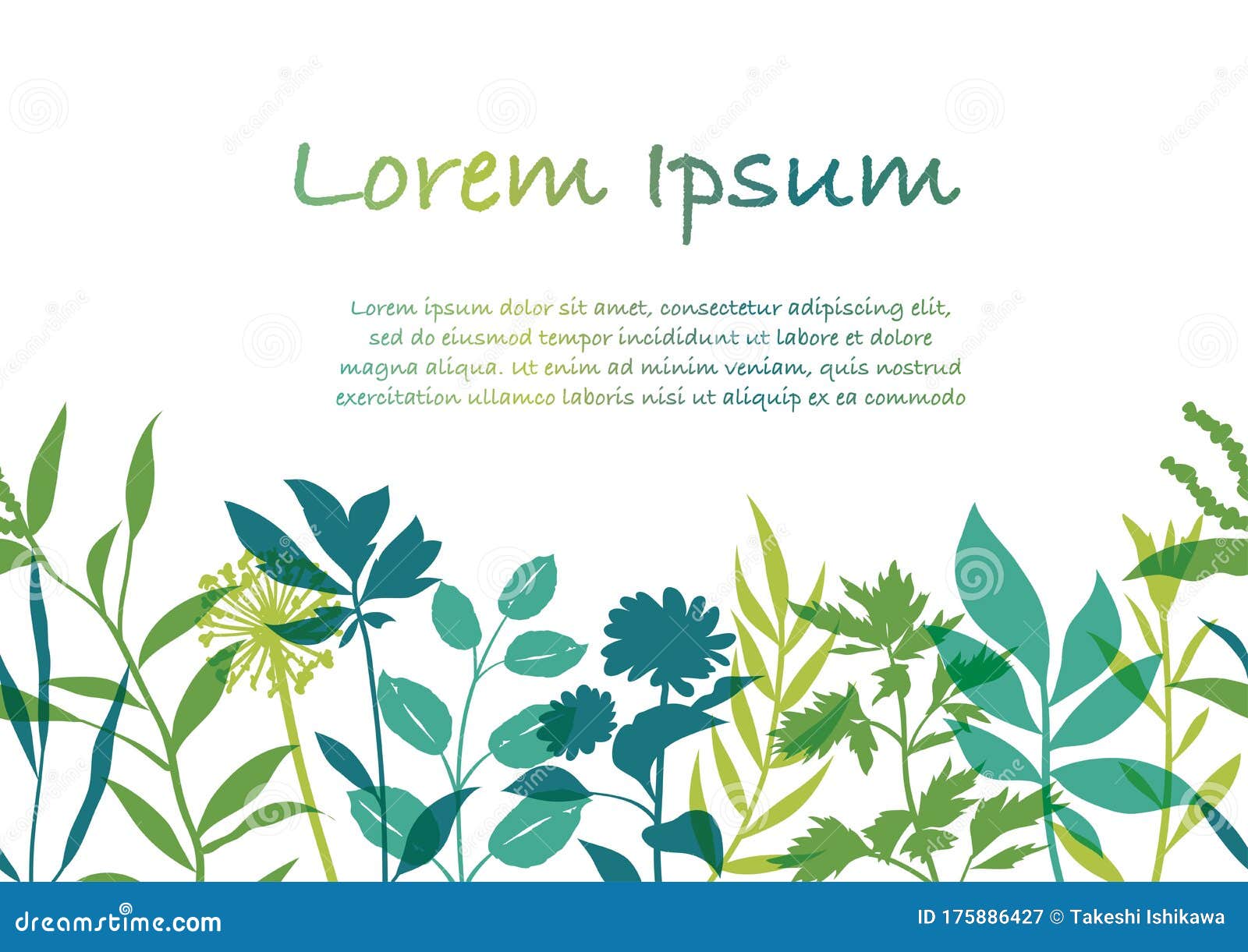 Seamless Botanical Background with Text Space Isolated on a White ...