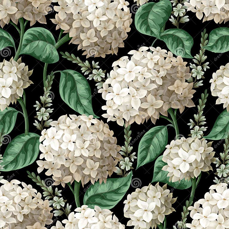 Seamless Botanical Pattern with Hydrangeas. Vector Stock Vector - Illustration of repeat ...