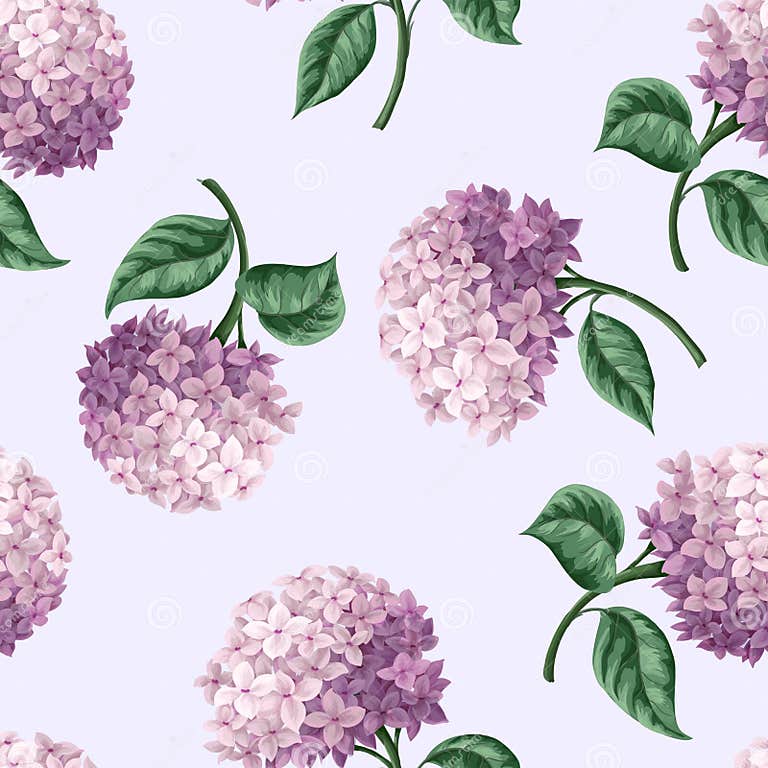 Seamless Botanical Pattern with Pink Hydrangeas. Vector Stock Vector ...