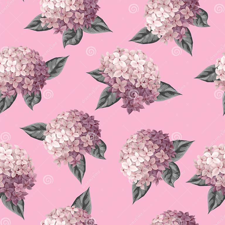 Seamless Botanical Pattern with Pink Hydrangeas. Vector Stock Vector - Illustration of pattern ...