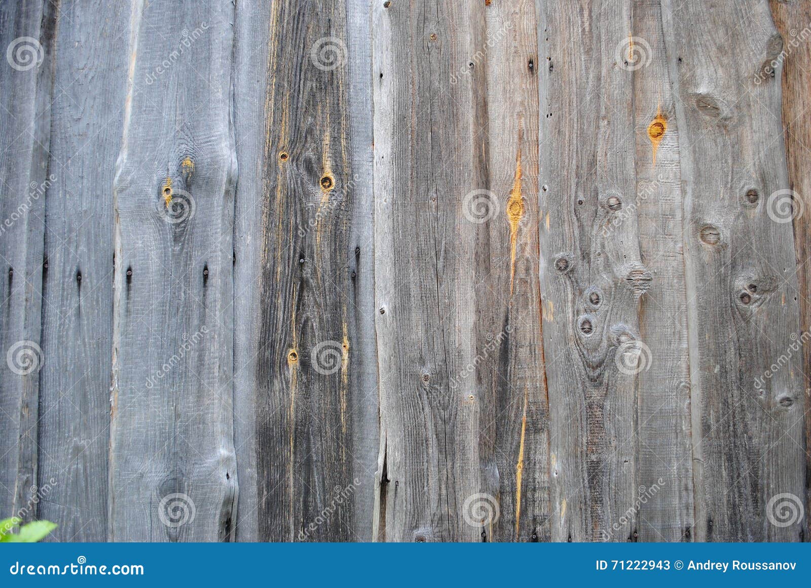 Seamless Bright Grey Wood Texture Stock Image - Image of bright ...
