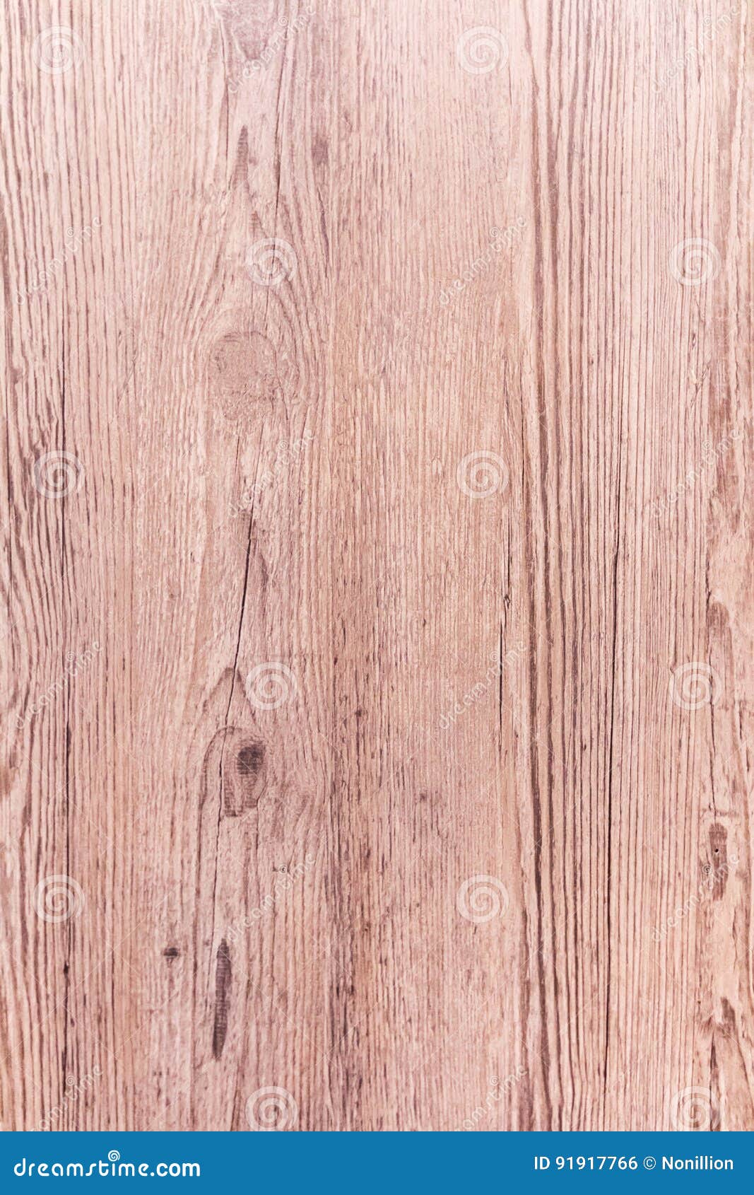 Seamless Bright Wood Texture Stock Photo - Image of pattern, carpenter ...