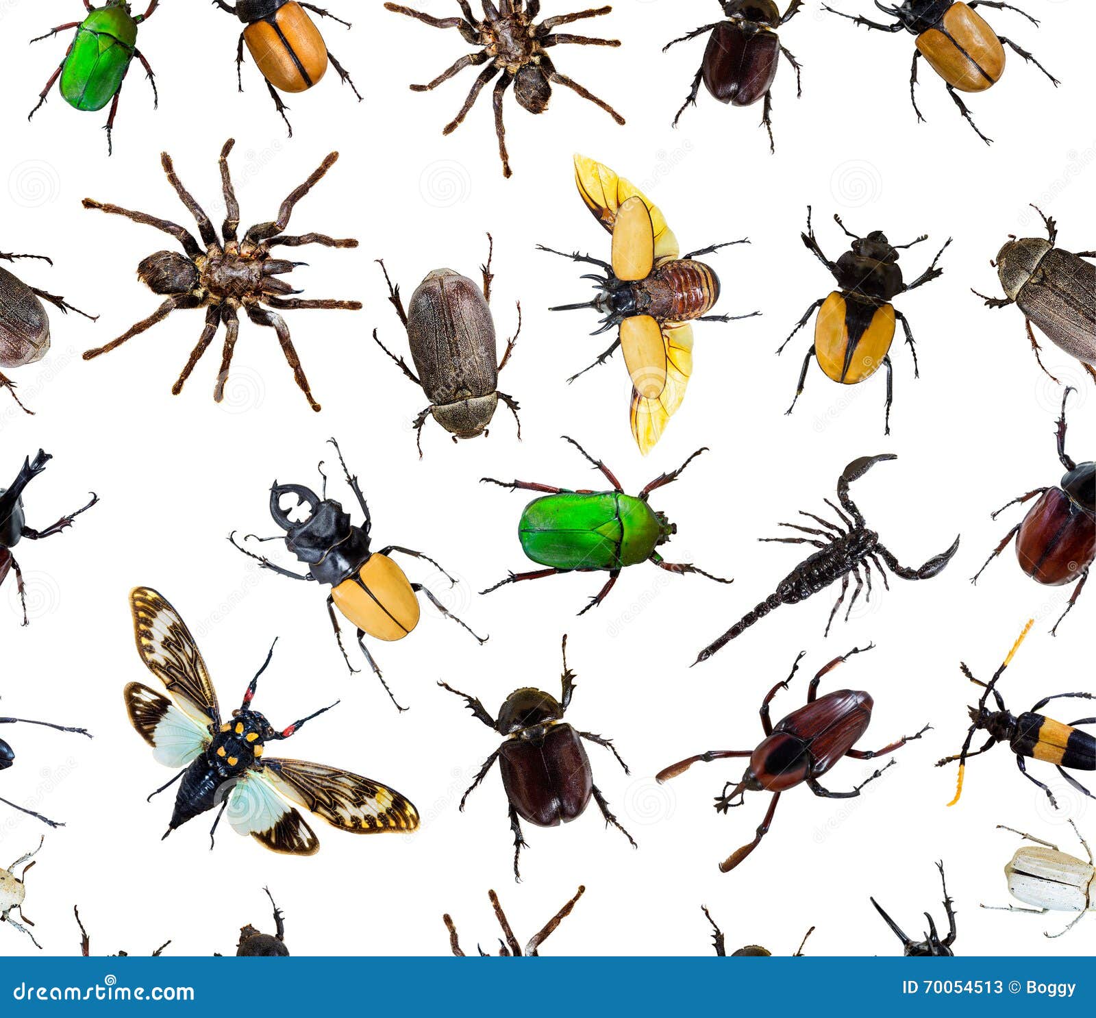 664 Seamless Bug Pattern Stock Photos - Free & Royalty-Free Stock ...