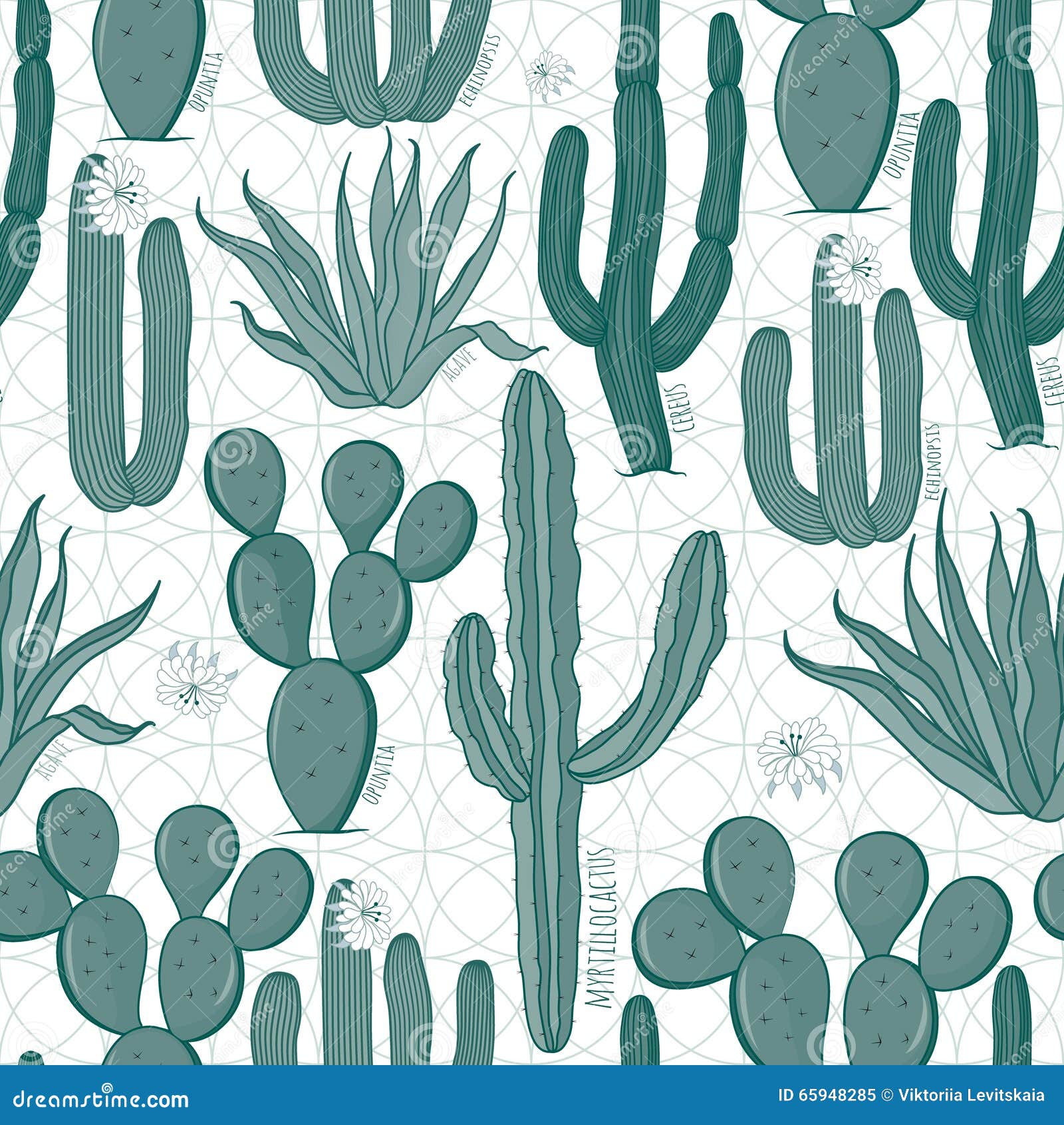 Seamless cactus pattern stock vector. Illustration of menu - 65948285