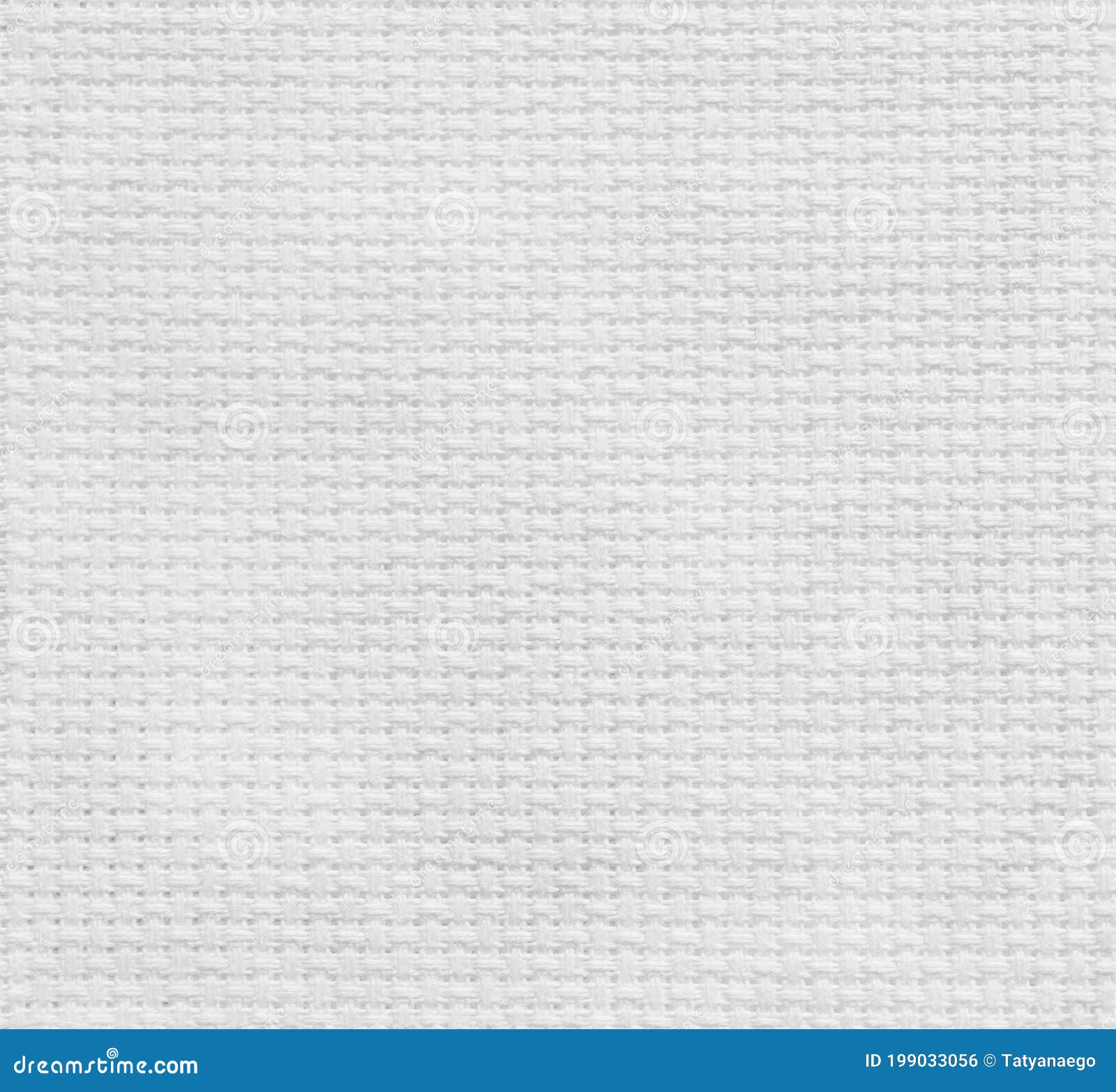 Blank Canvas Texture