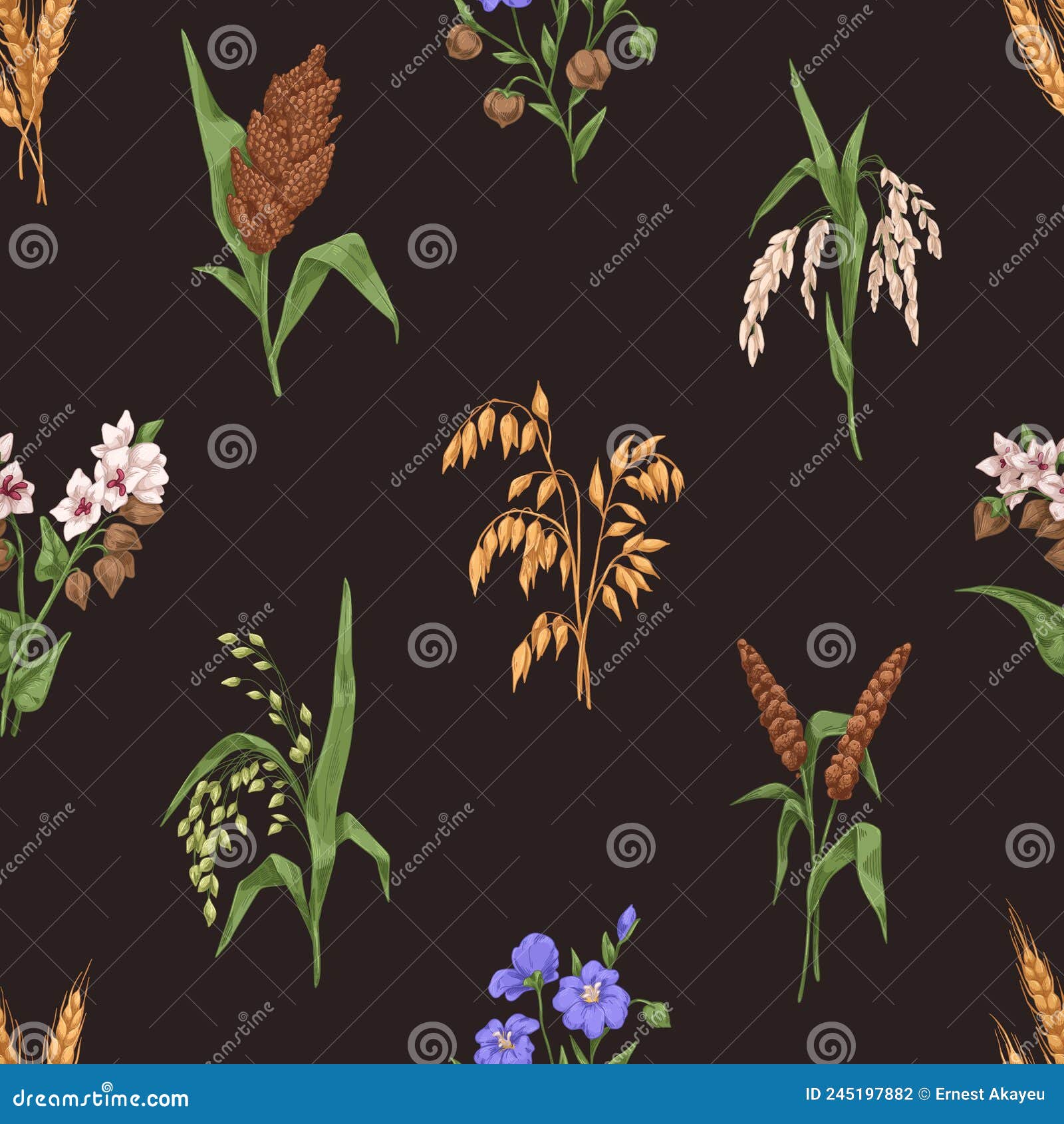 Seamless Cereal Pattern. Endless Background with Different Grain Crops ...