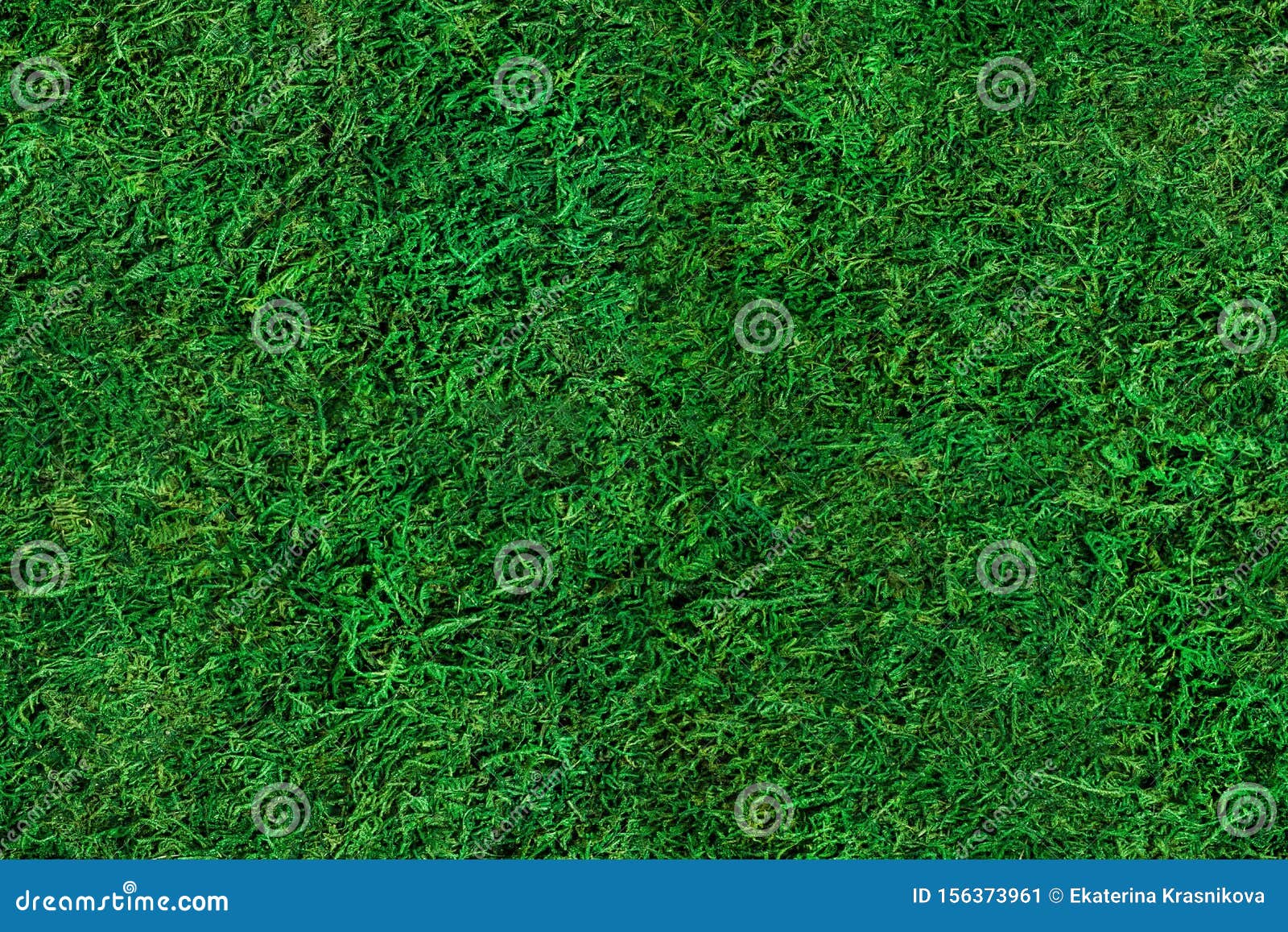 Green Moss On Concrete Texture Background Royalty-Free Stock Photo ...