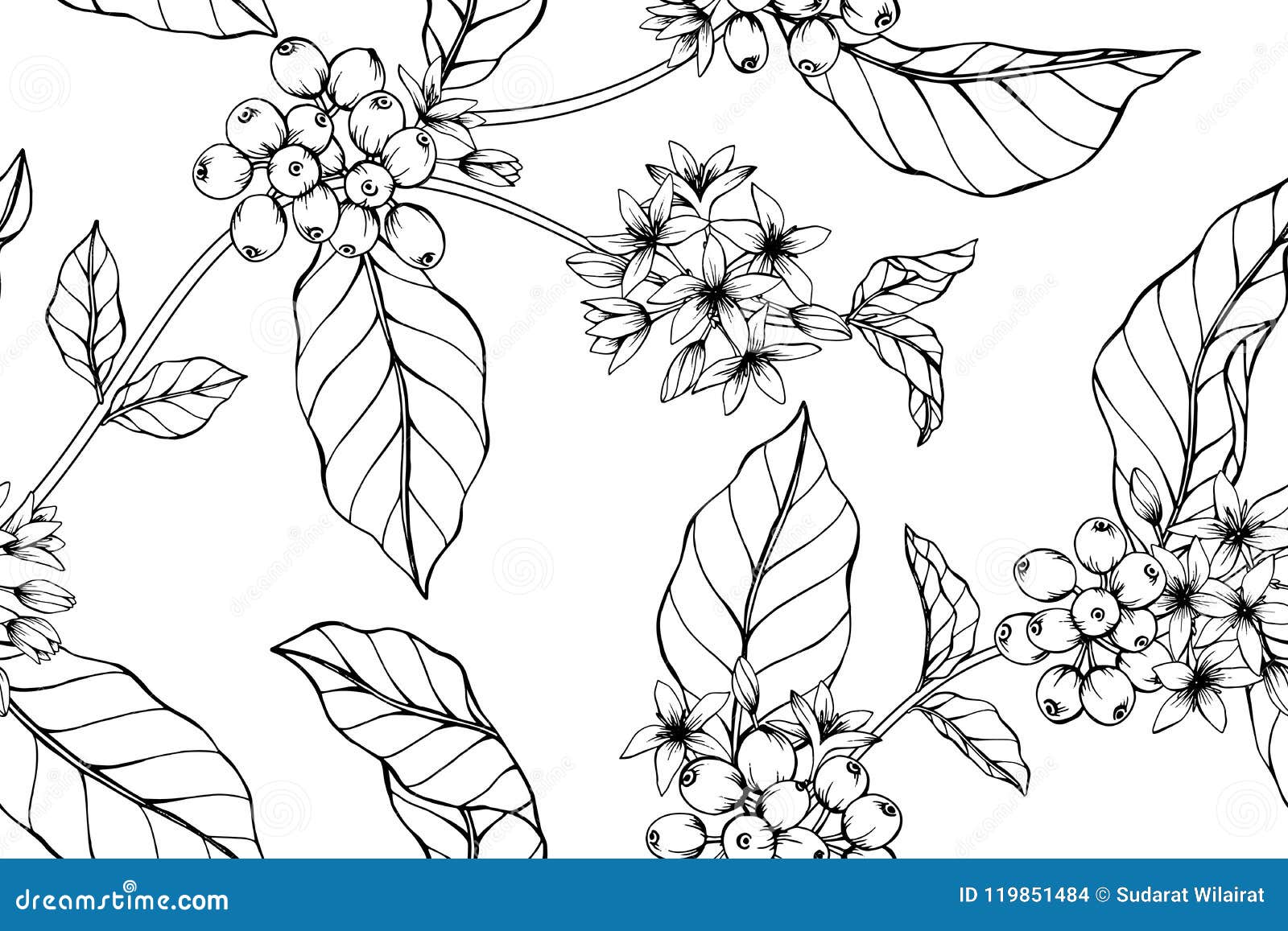 Seamless Coffee Flower Pattern Background. Stock Vector - Illustration ...