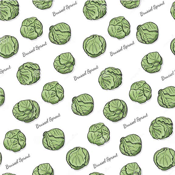 Seamless Color Pattern with Brussel Sprout Stock Vector - Illustration ...