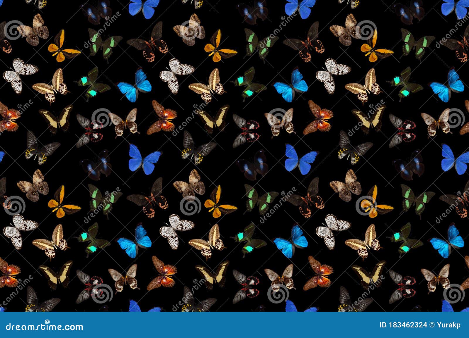 Seamless Colorful Butterfly Pattern on a Black Background Stock ... Seamless Colorful Butterfly Pattern on a Black Background Stock ...