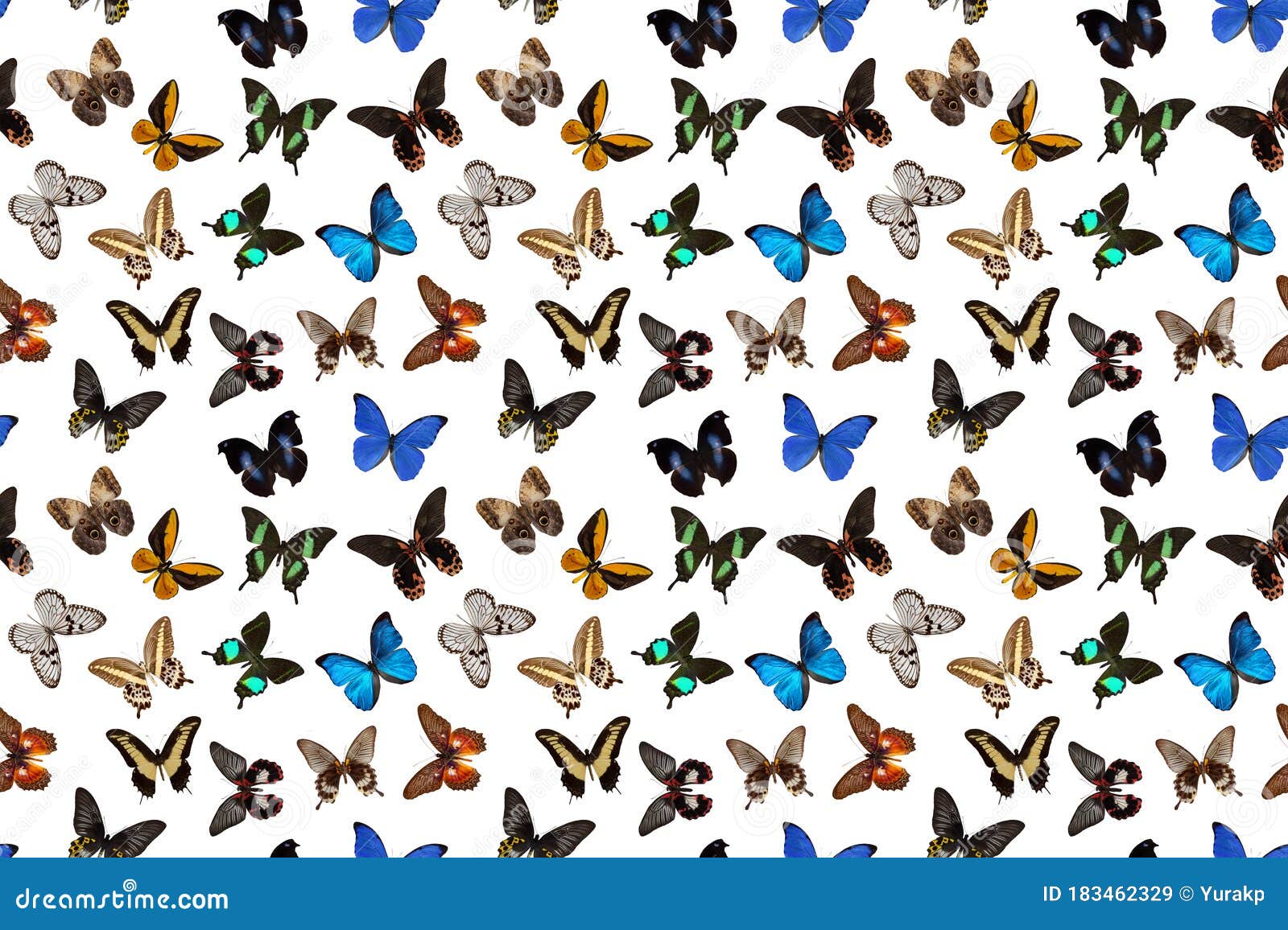 Seamless Colorful Butterfly Pattern On A White Background Stock ... Seamless Colorful Butterfly Pattern On A White Background Stock ...