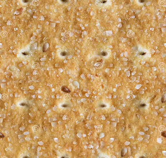 Seamless cracker texture stock photo. Image of texture - 197761208