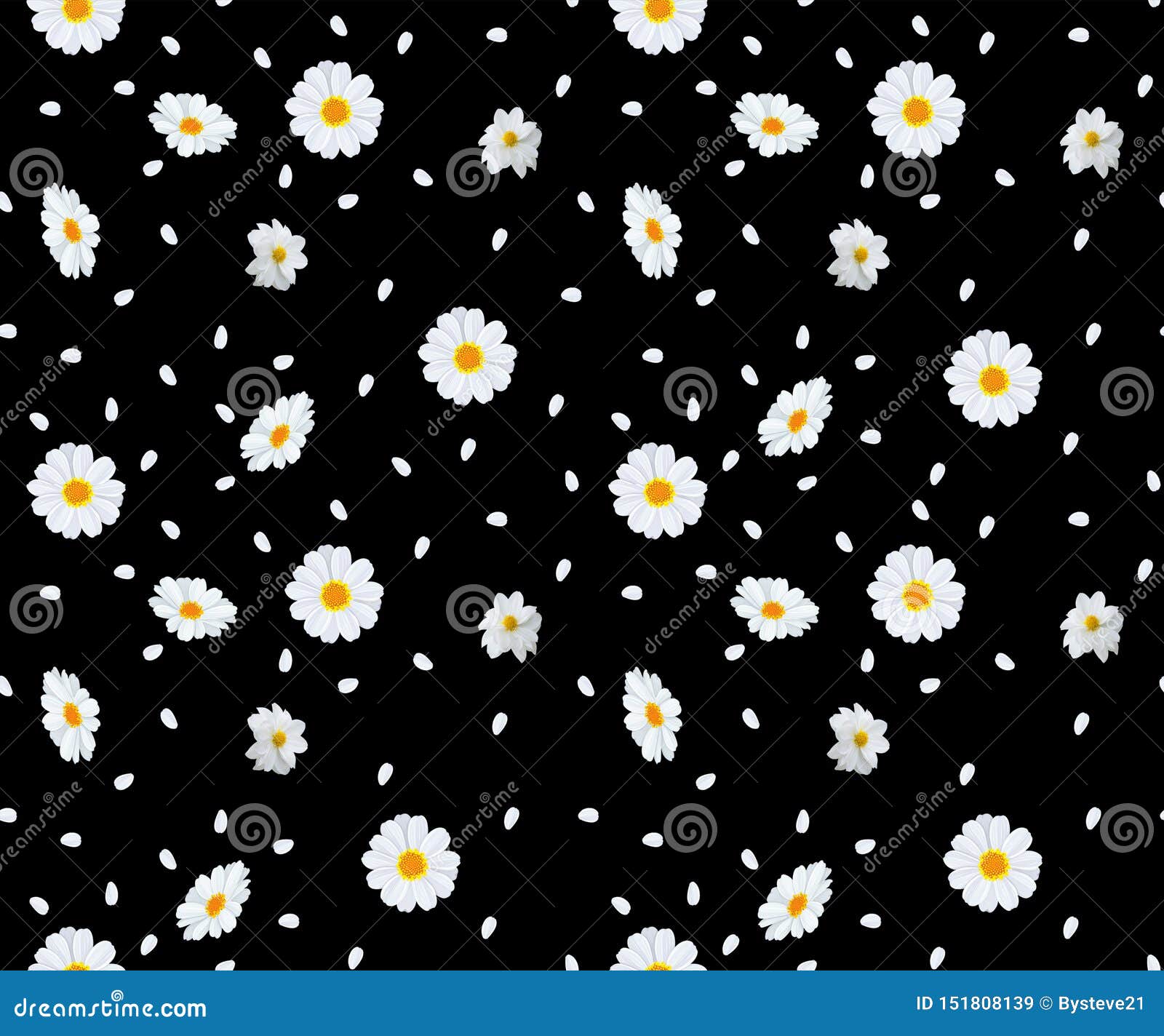 Seamless Daisy Flower And Leaf Pattern Royalty-Free Stock Photo ...