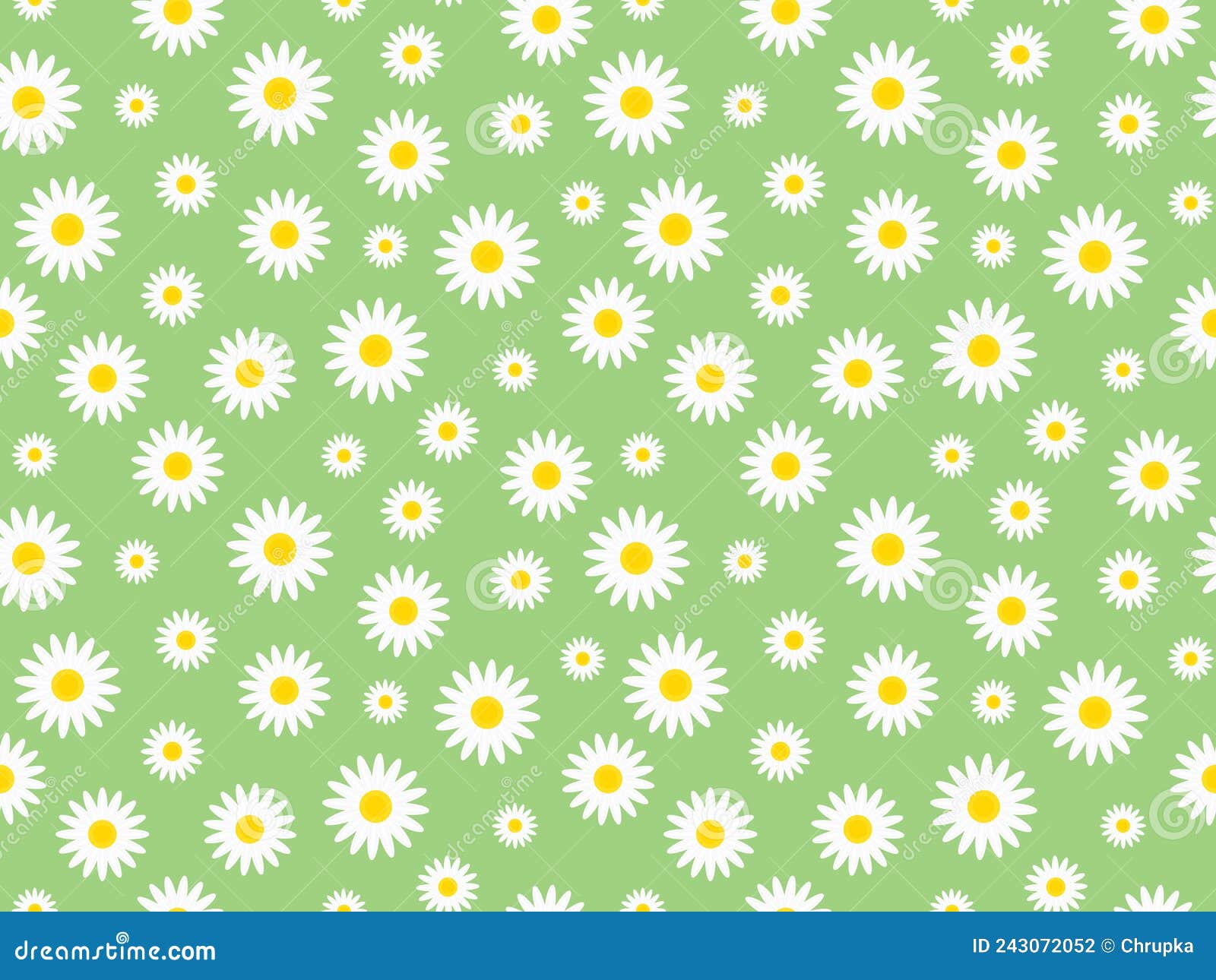 Seamless daisy pattern stock vector. Illustration of color - 243072052