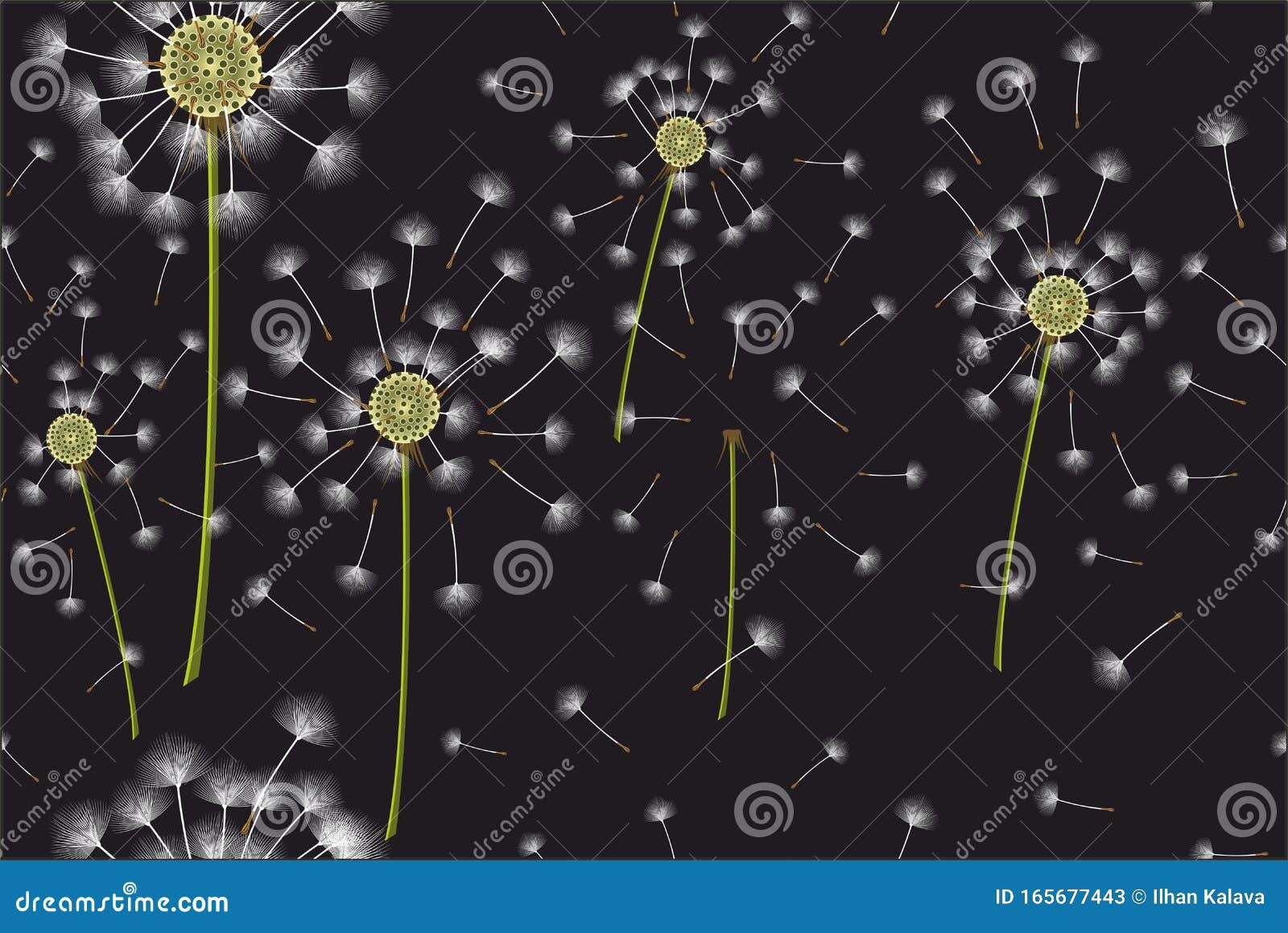 Seamless Dandelion Pattern on Black Background. - Vector Stock Vector ...