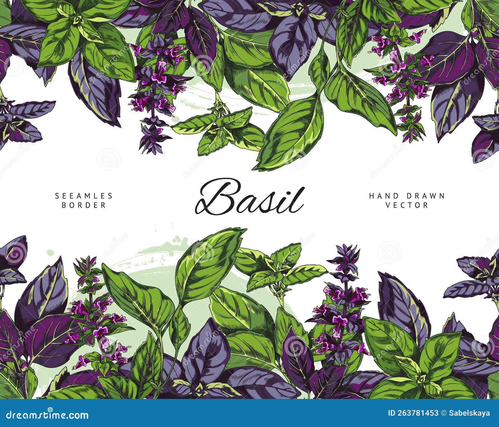 Seamless Decorative Border or Frame Design with Basil Sketch Vector Illustration. Stock ...