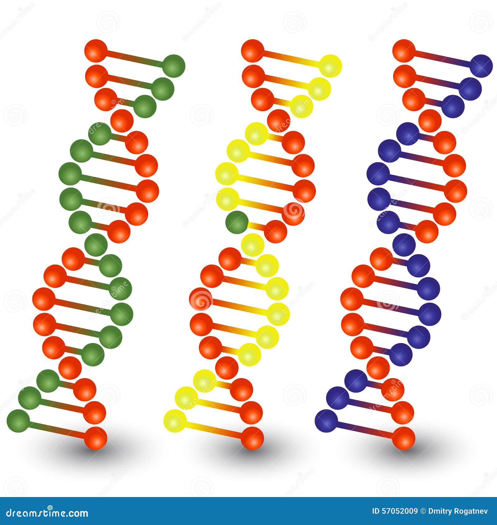 Seamless DNA strands. stock vector. Illustration of genetic - 57052009