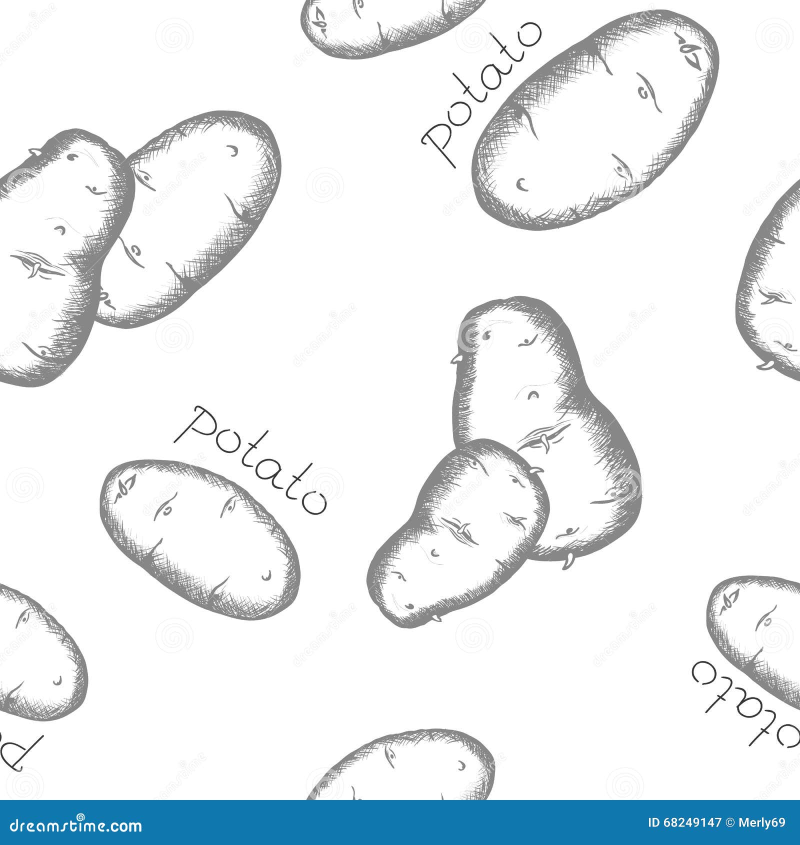Seamless Doodle Pattern. Potato. Vector Illustration Stock Vector ...
