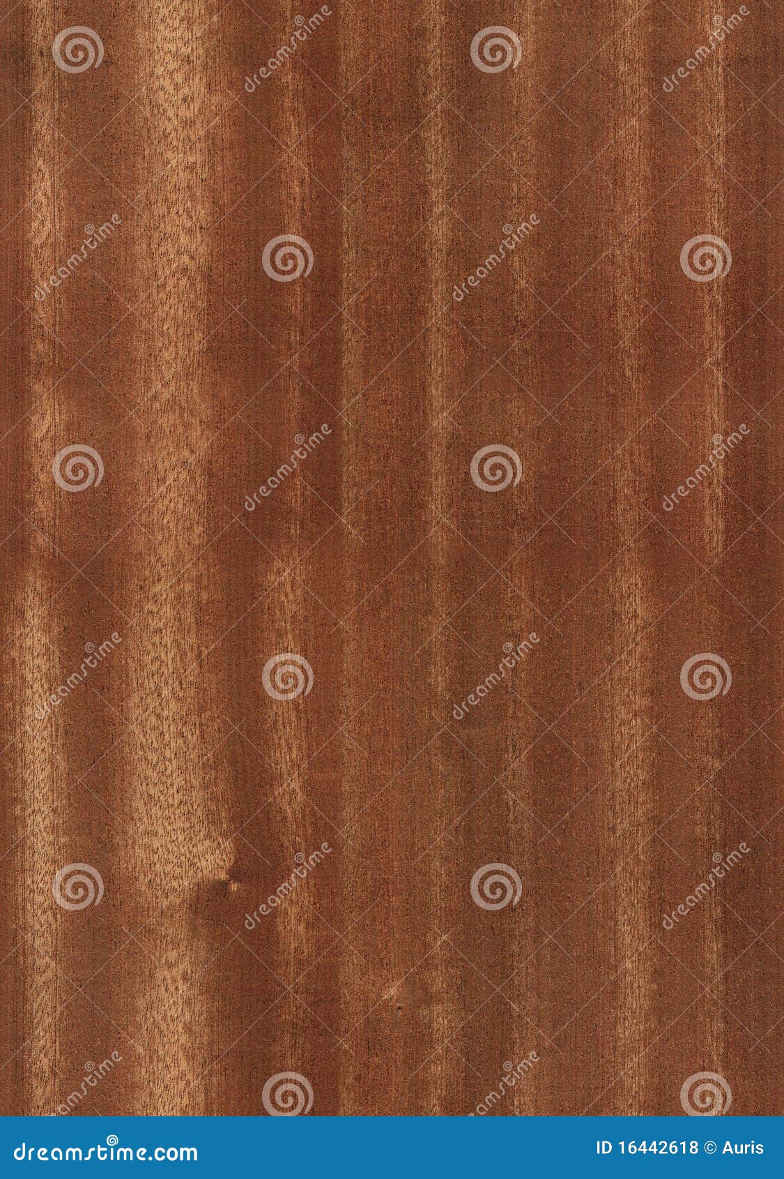 Seamless Eucalyptus Texture Stock Photo - Image of parquet, hardwood ...
