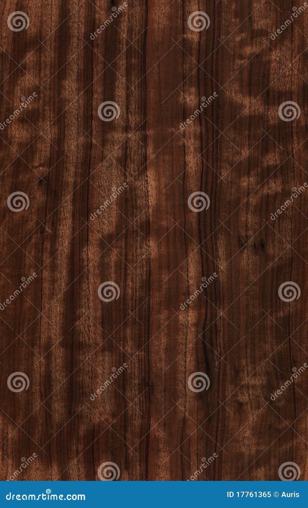 Seamless Eucalyptus Texture Stock Image - Image of brown, parquet: 17761365