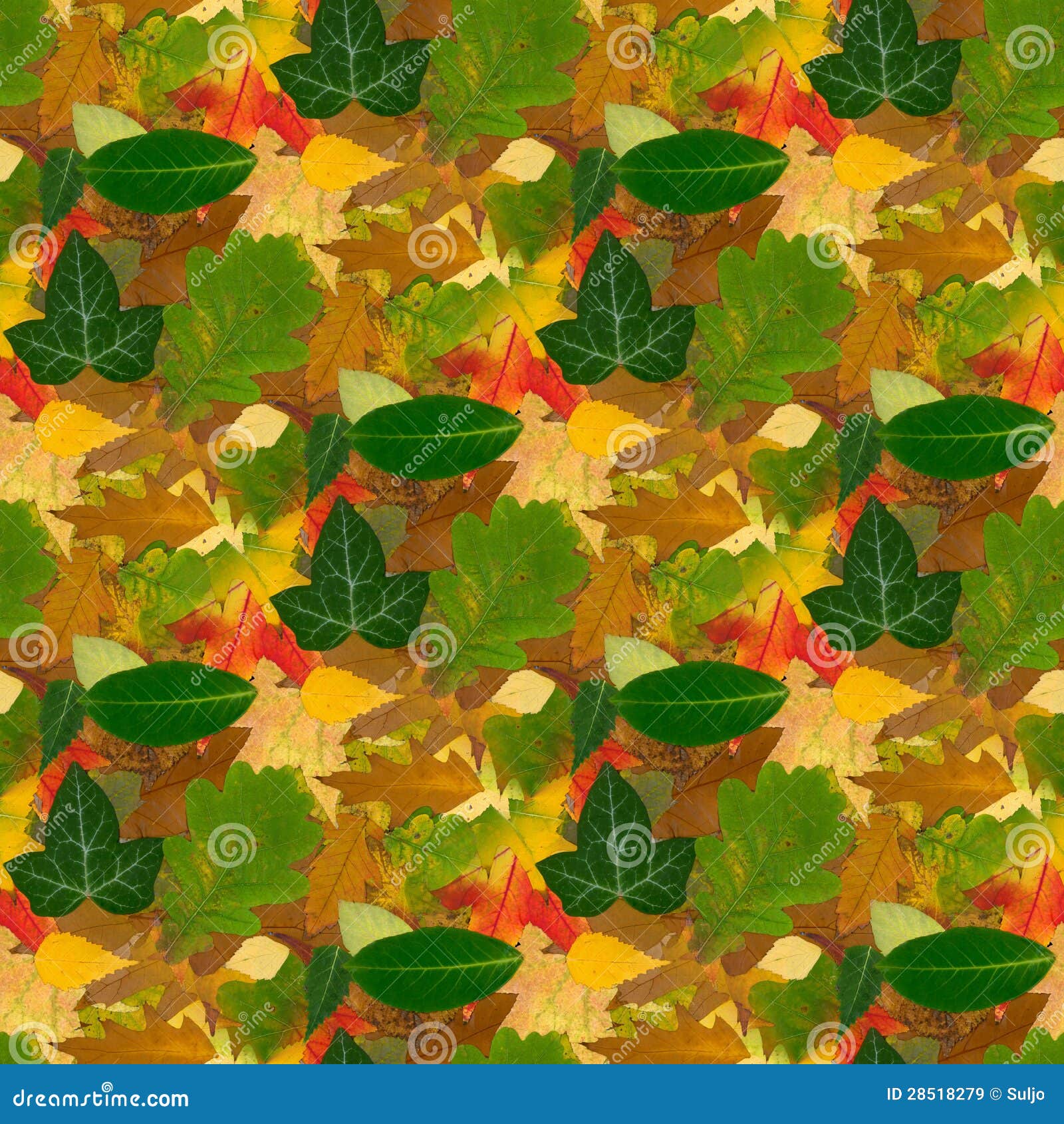 Seamless Fall Texture Background Stock Image - Image of autumn, nature ...