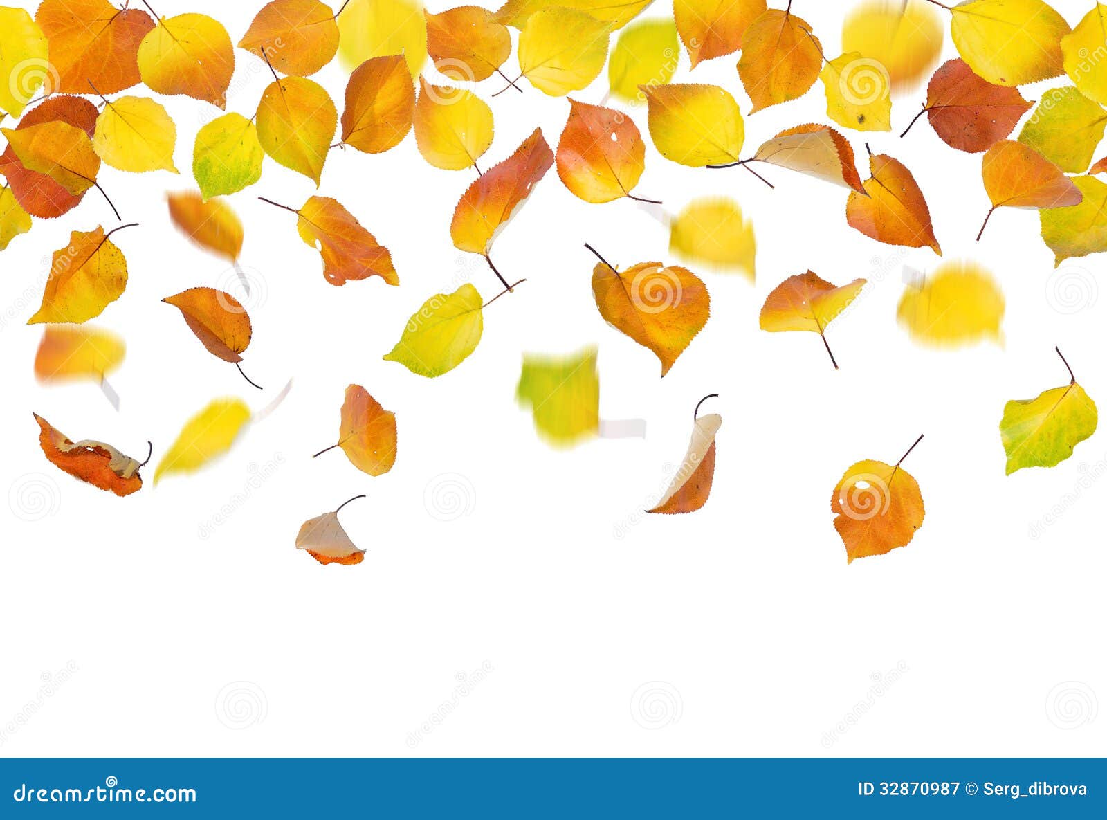 Seamless Falling Autumn Leaves Royalty Free Stock Photography - Image ...