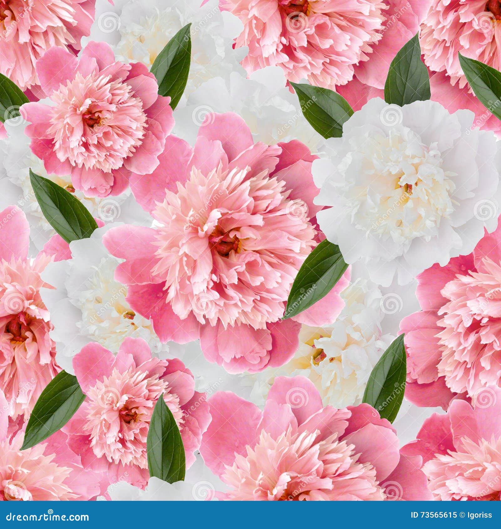 Seamless Floral Pattern with Pink Peonies. Vector Stock Vector ...