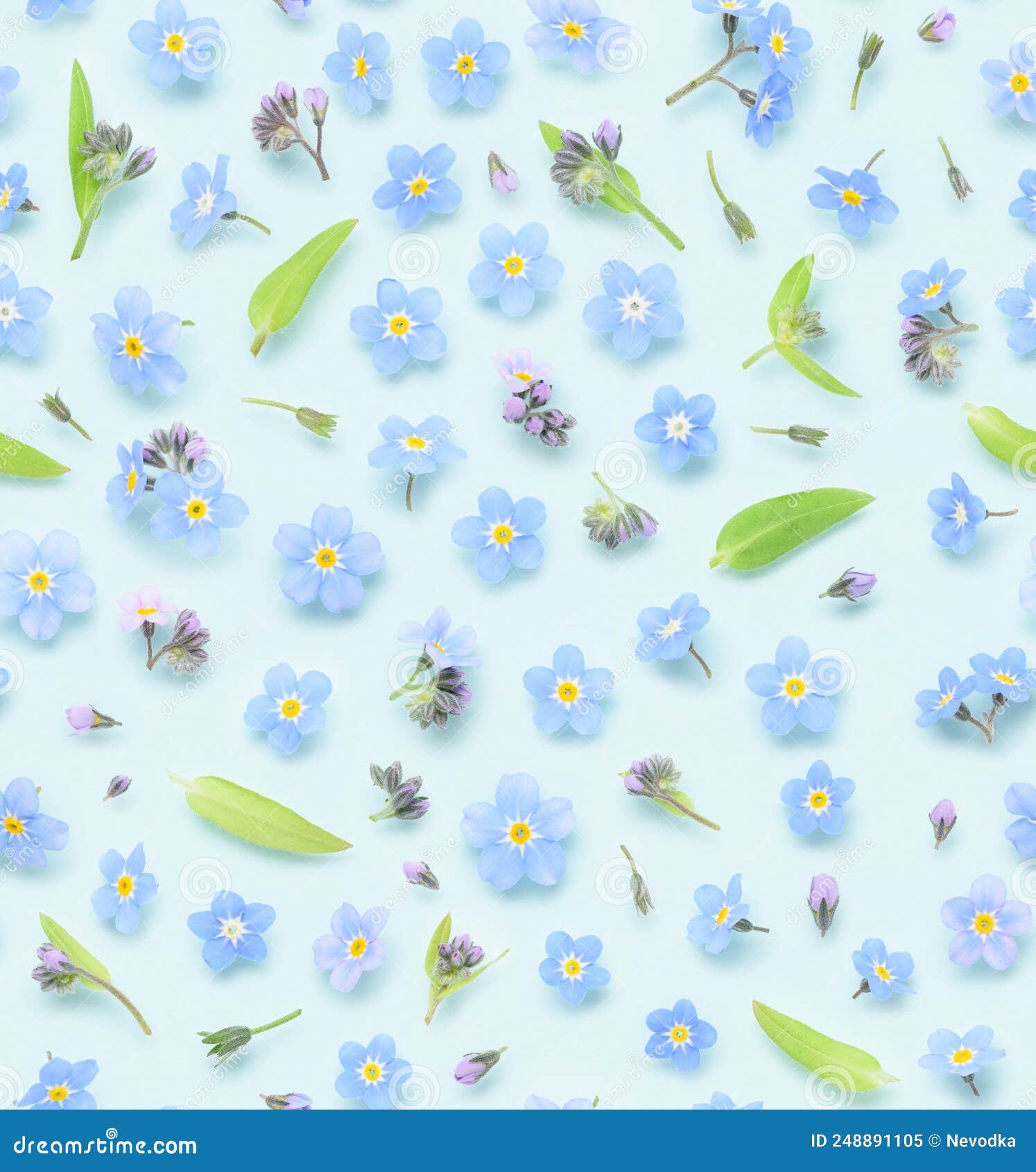 Seamless Floral Pattern of Tiny Blue Spring Forget-me-not Flowers Buds ...