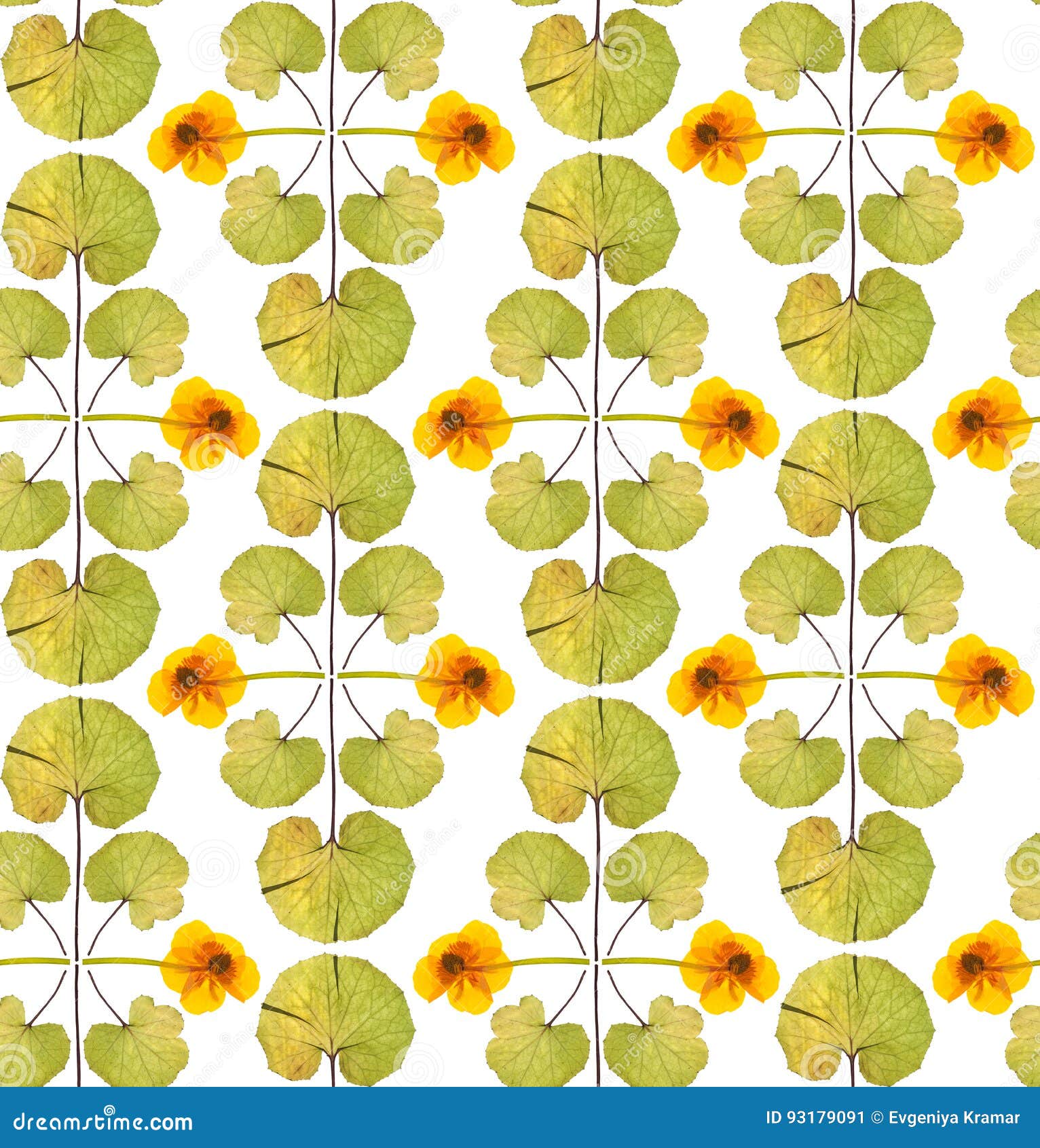 Seamless Floral Pattern with Yellow Flowers Stock Image - Image of ...