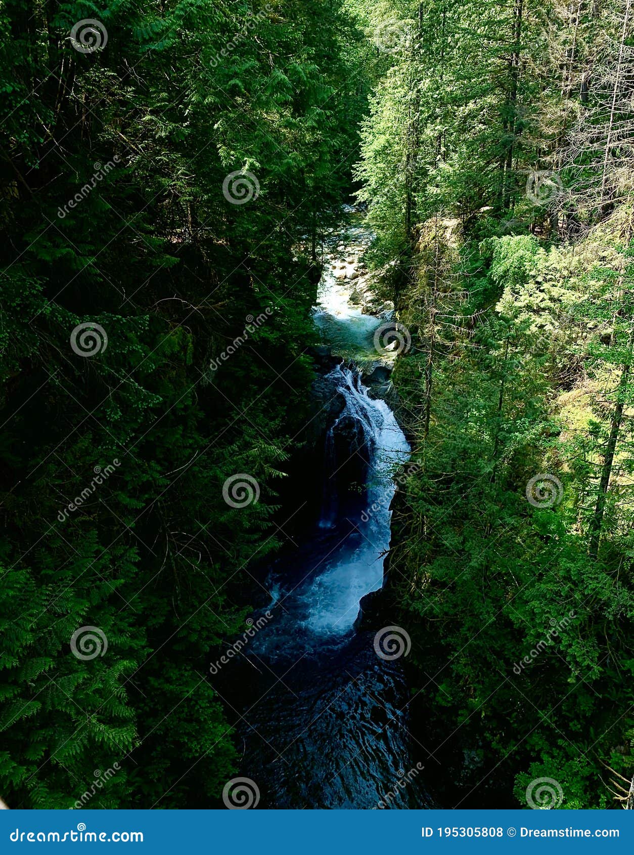 A Stream in Nature at Lynn Valley Park in North Vancouver BC, May 28 ...