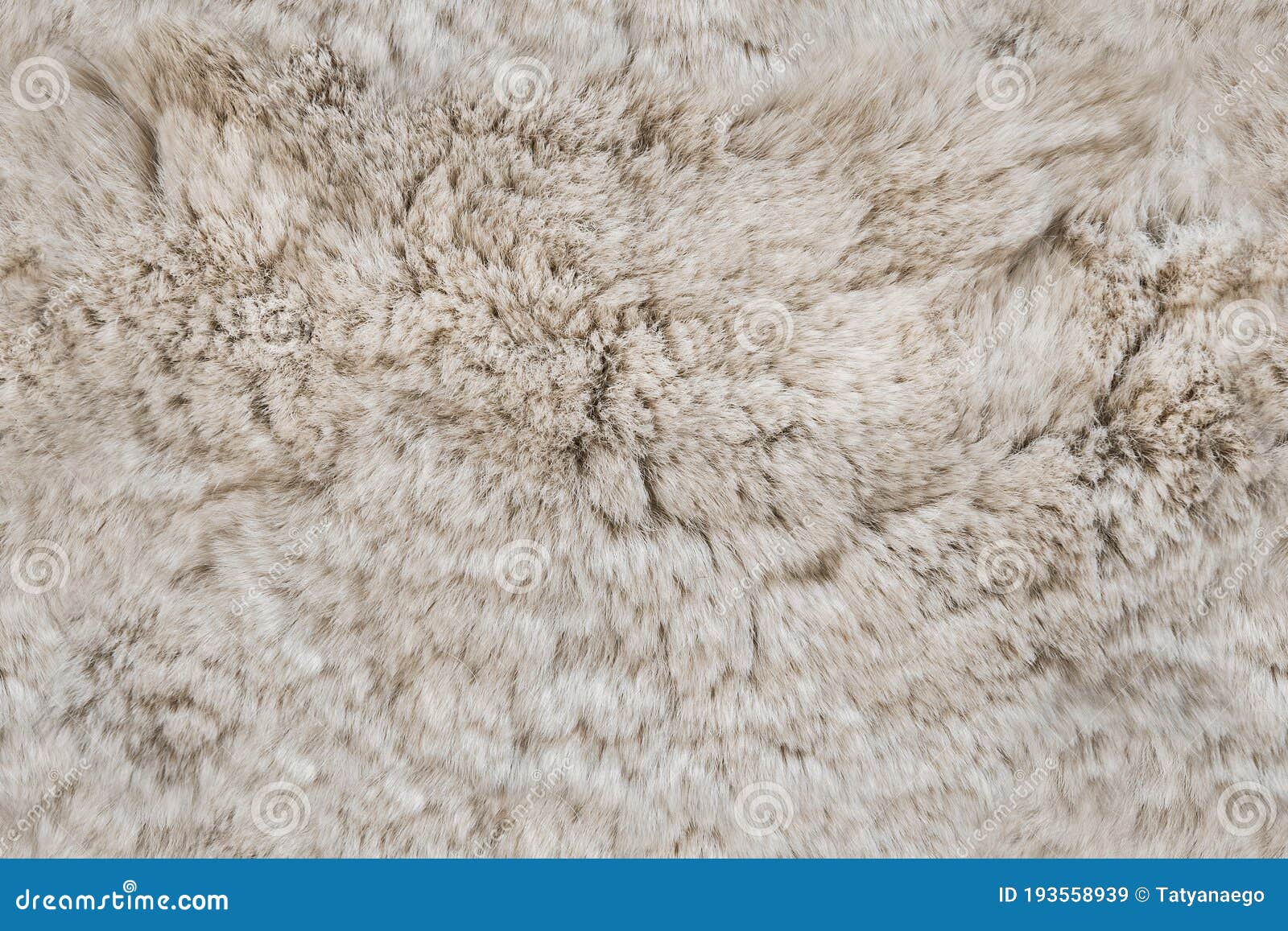 Seamless fur texture stock image. Image of synthetics - 193558939