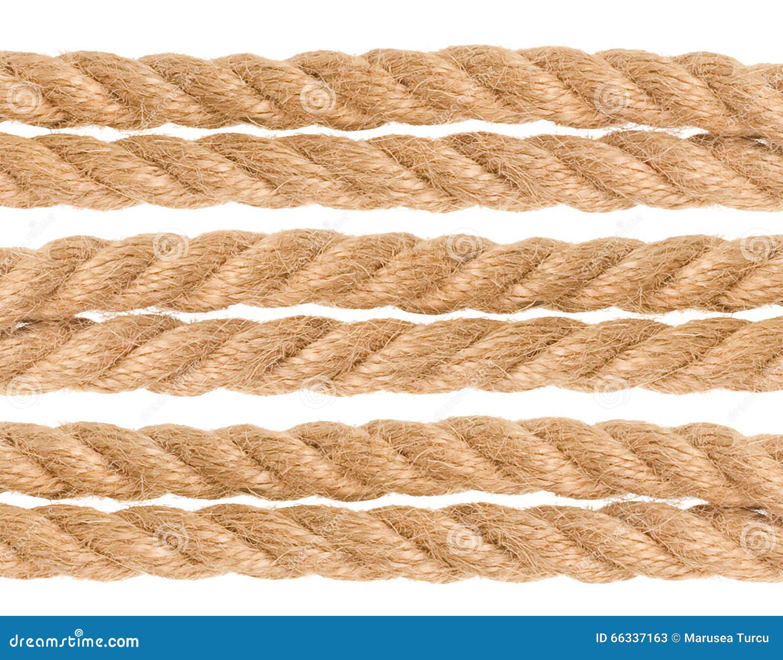 Seamless golden rope stock image. Image of lace, entertainment - 66337163
