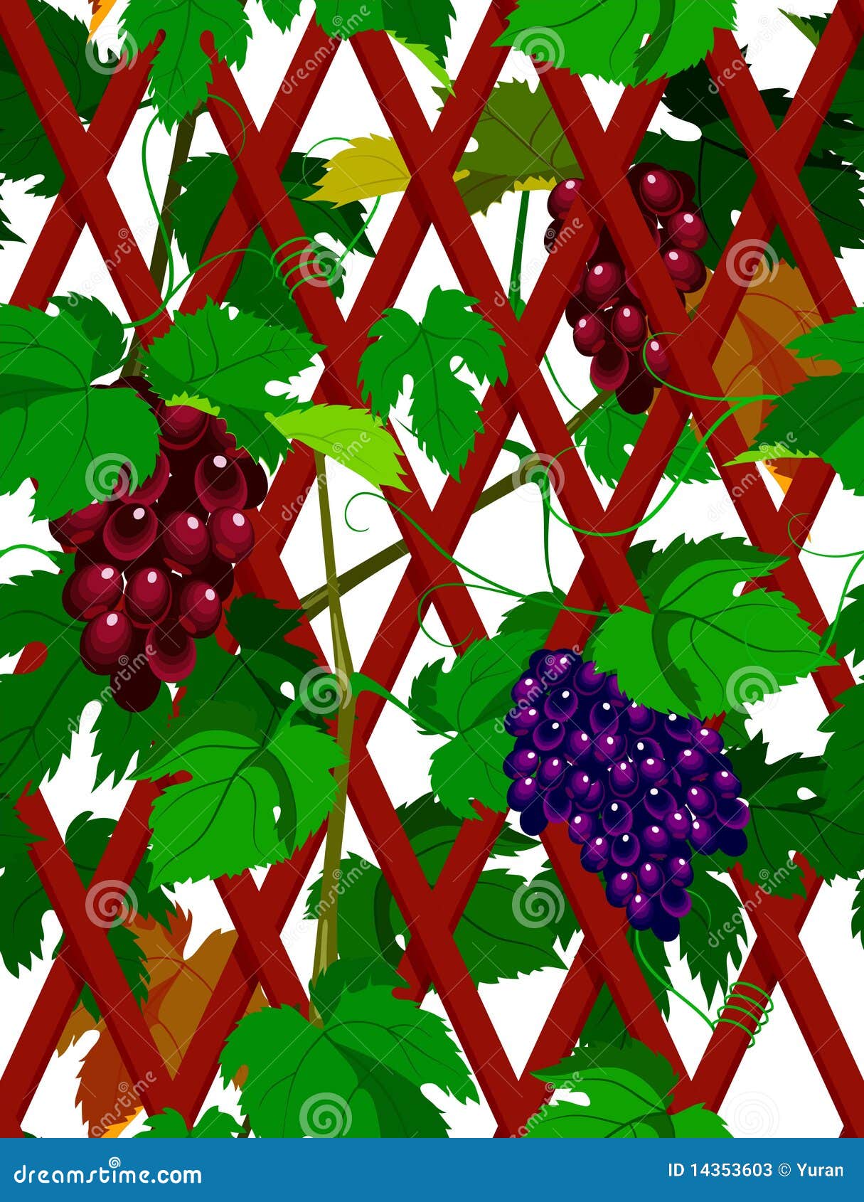 Seamless grapevine stock vector. Illustration of leaf - 14353603