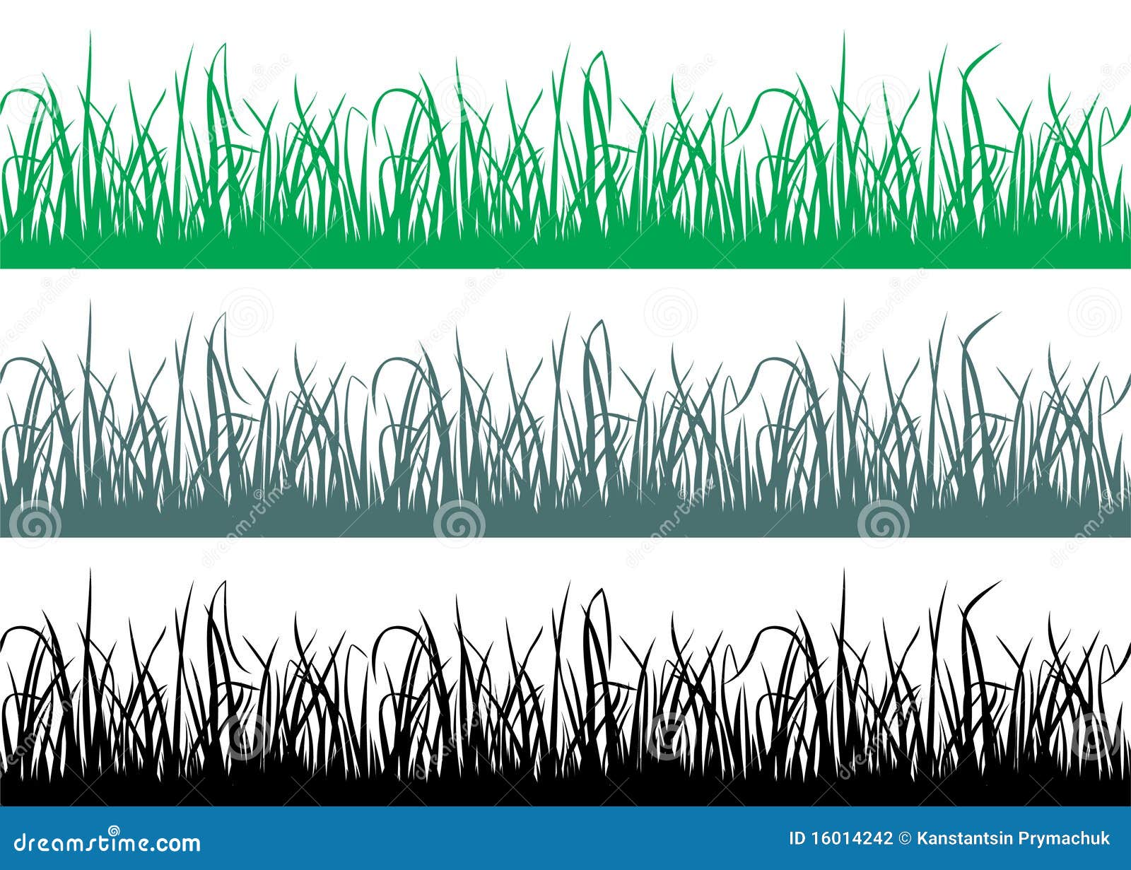 Seamless grass pattern stock vector. Illustration of lawn - 16014242