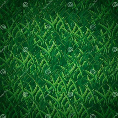 Seamless Grass Pattern stock vector. Illustration of gardening - 33935690