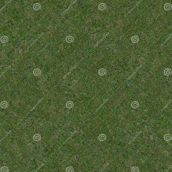 Seamless Grass Texture stock image. Image of nature, yard - 22713223