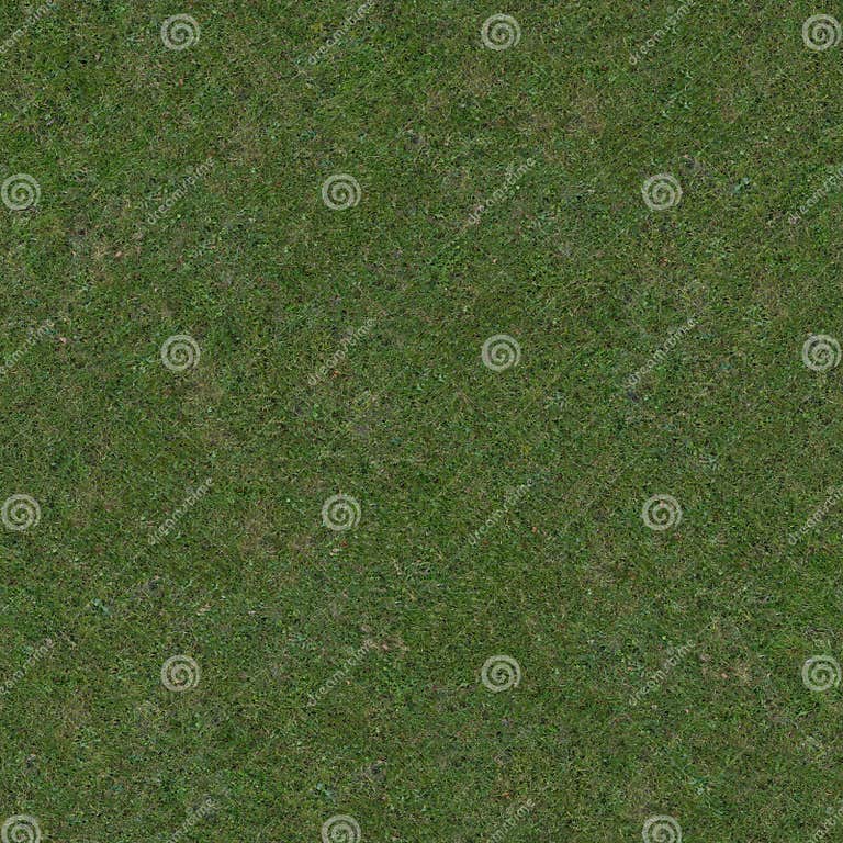 Seamless Grass Texture stock image. Image of nature, yard - 22713223