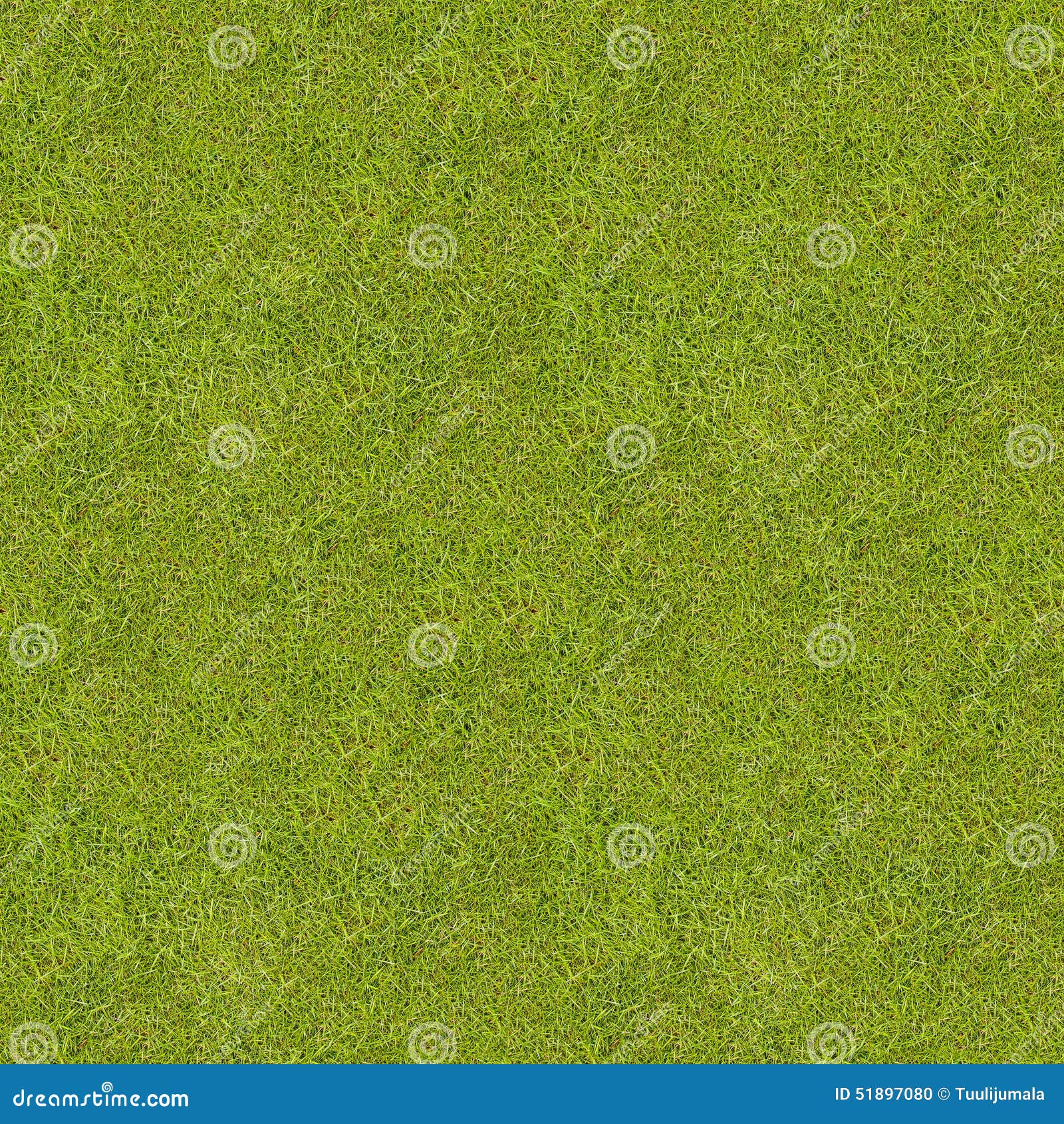 Seamless grass texture. stock photo. Image of mowed, grass - 51897080