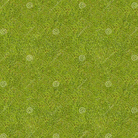 Seamless grass texture. stock photo. Image of mowed, grass - 51897080